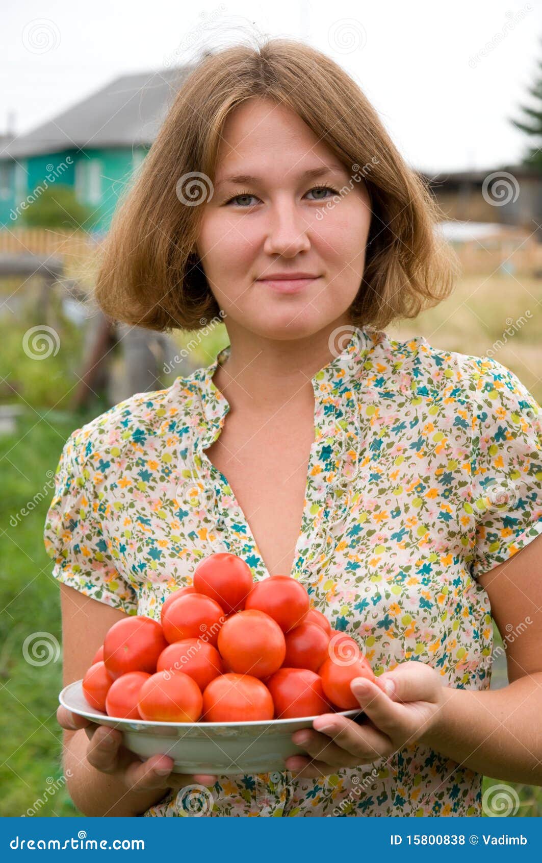 Cosecha foto de archivo. Imagen de cosecha, hermoso, belleza - 15800838