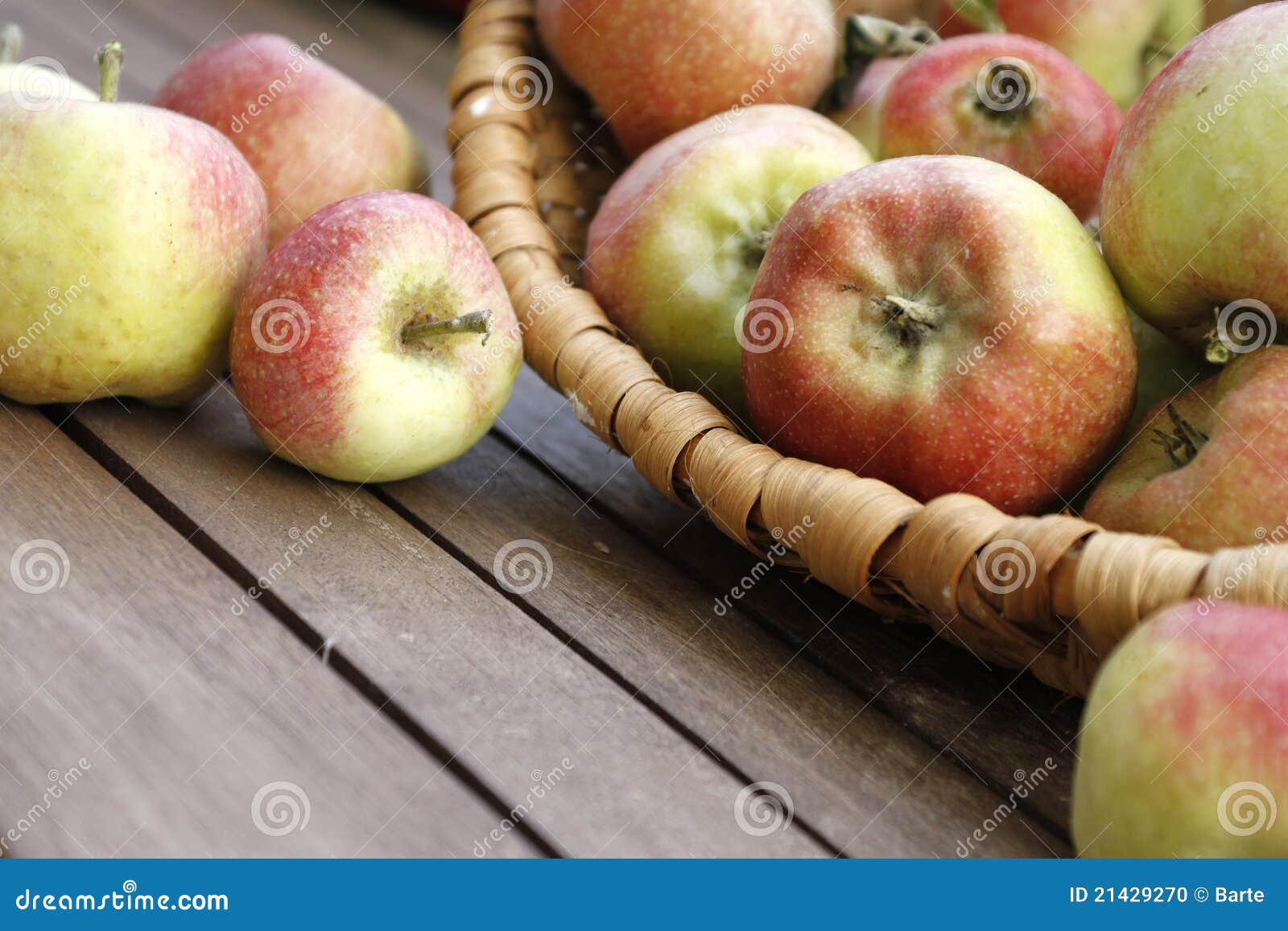 Cosecha abundante foto de archivo. Imagen de abundante - 21429270