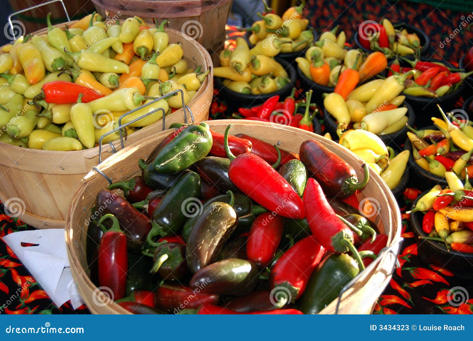 Cosecha de Chile imagen de archivo. Imagen de chile, festivo - 3434323