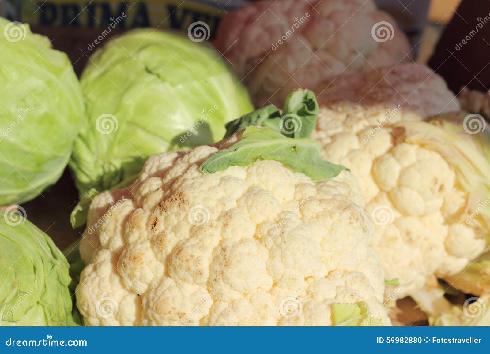 Cosecha de la coliflor foto de archivo. Imagen de fondo - 59982880