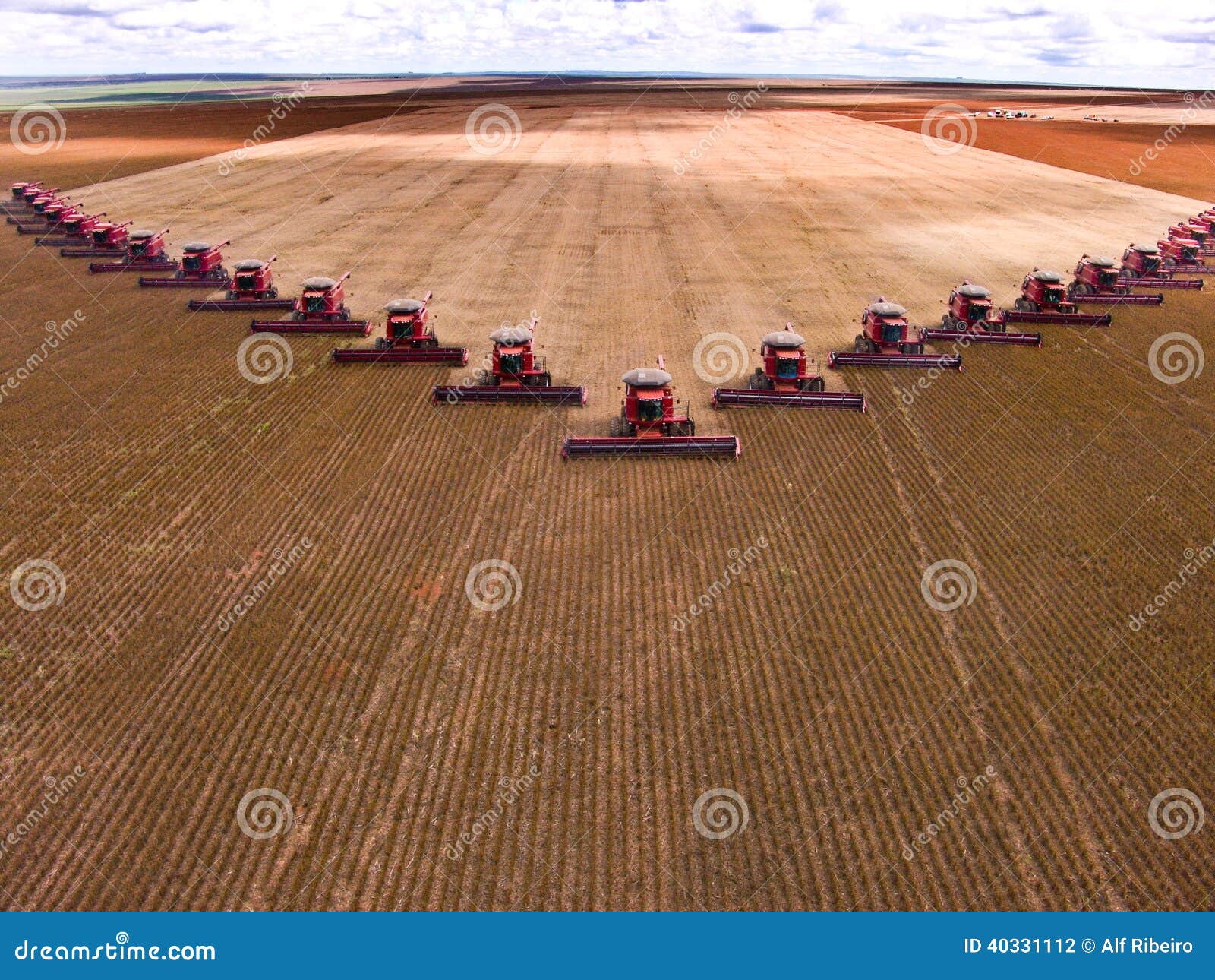 Cosecha de la soja fotografía editorial. Imagen de soja - 40331112
