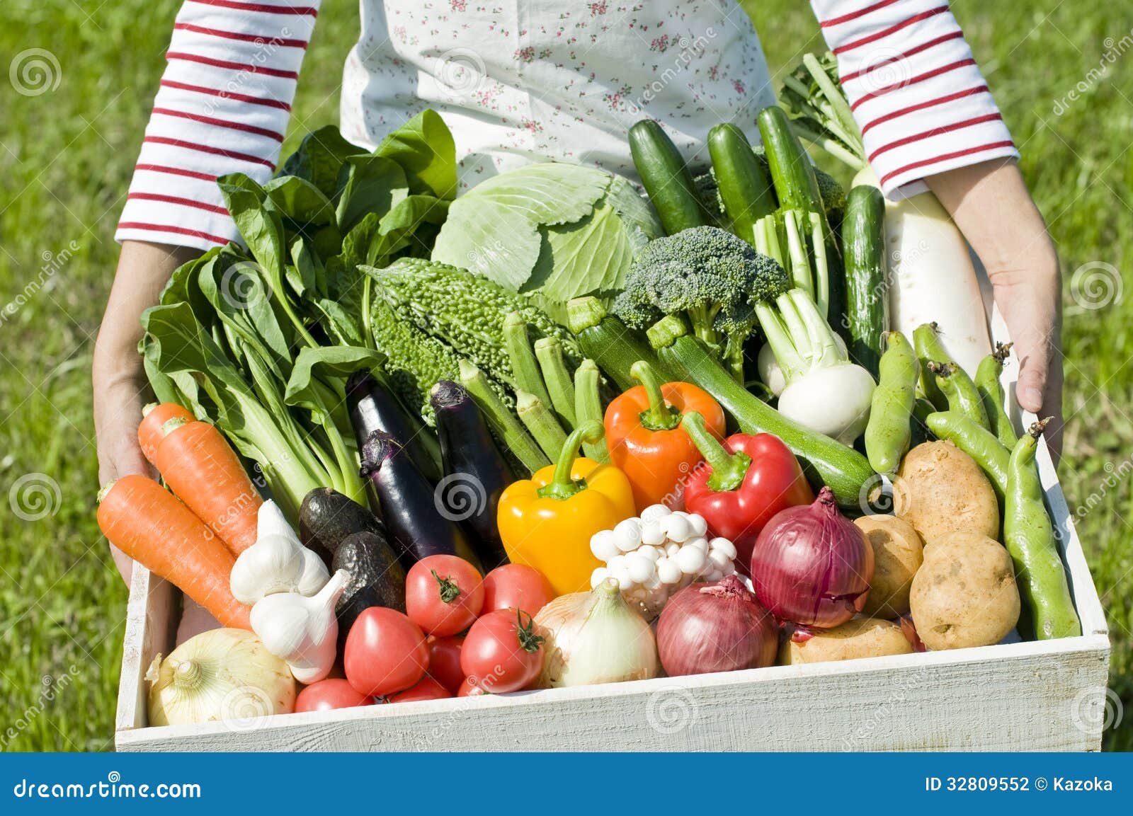Cosecha de verduras foto de archivo. Imagen de cubo, mujer - 32809552