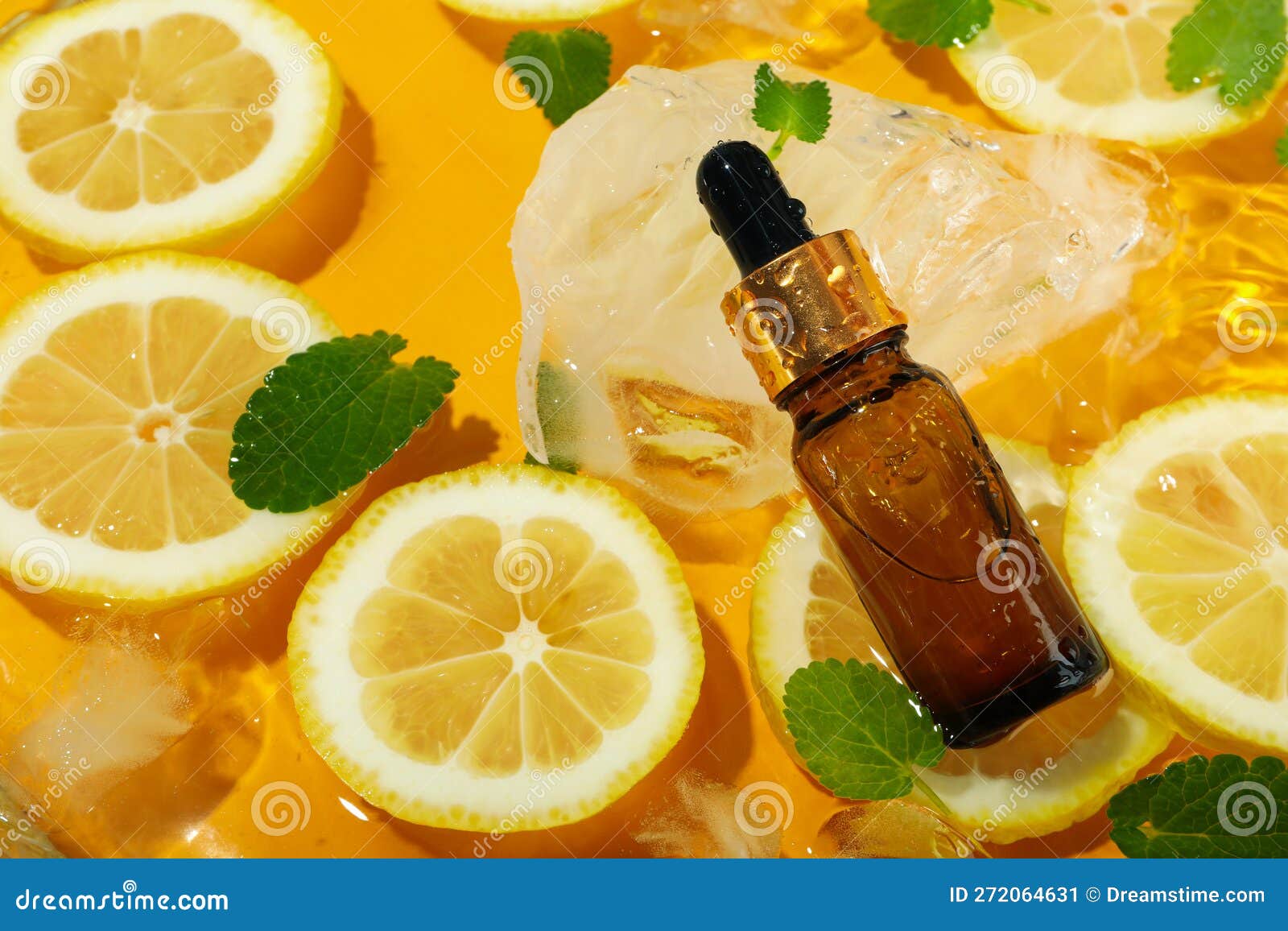 Cosmetic Bottle, Lemon Slices, Mint and Ice Stock Image - Image of ...