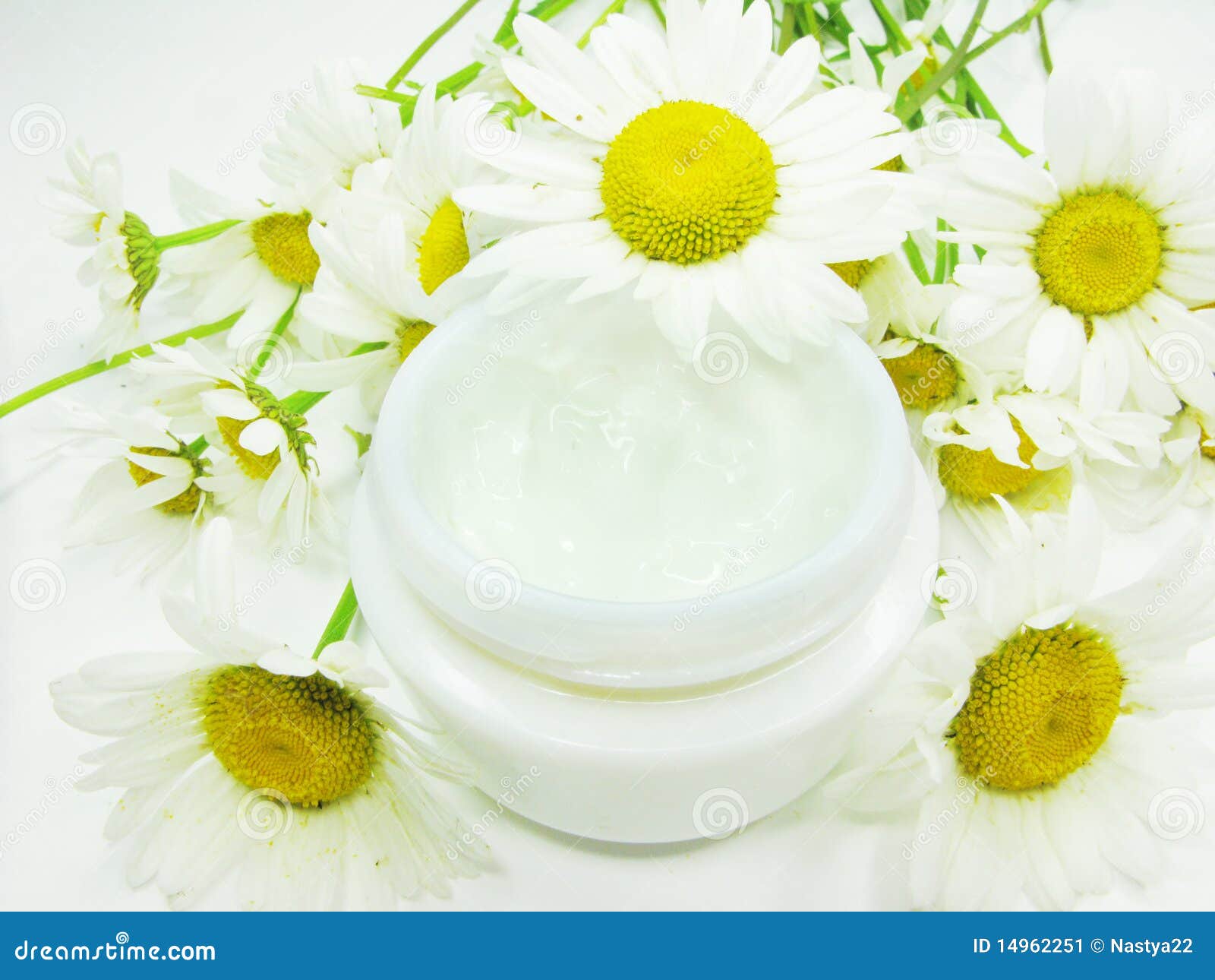 Cosmetic Creme for Face with Daisy Herbal Extract Stock Image - Image ...