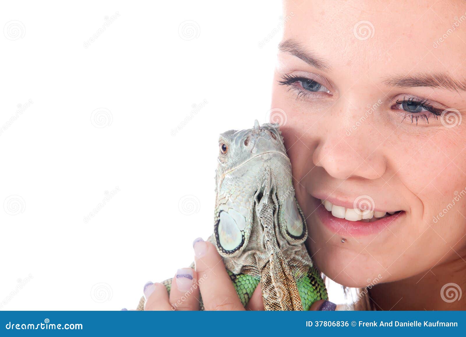 Cosmetic Dragon stock photo. Image of beautiful, saurian - 37806836