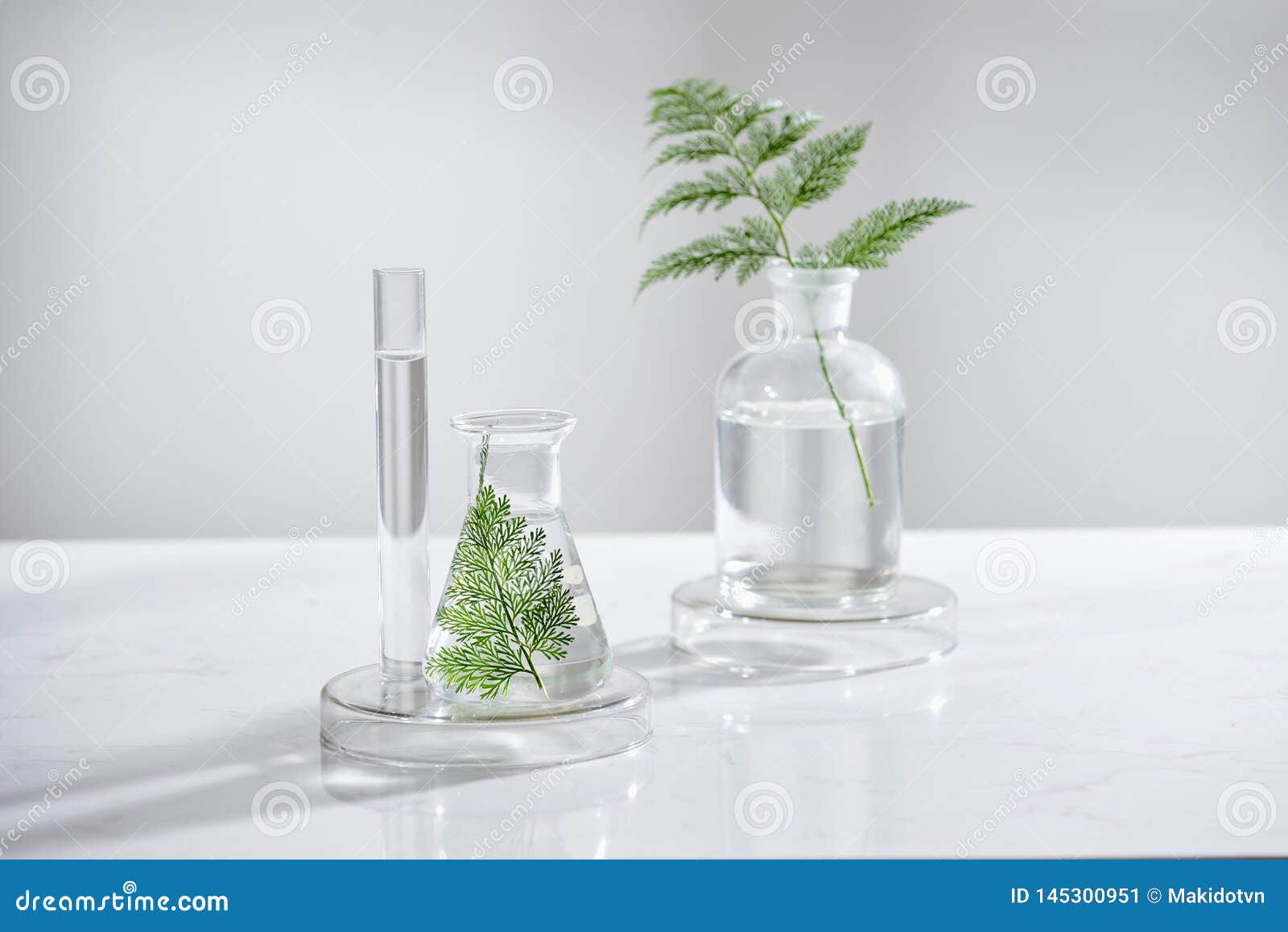 Cosmetic Nature Skincare And Essential Oil Aromatherapy Organic