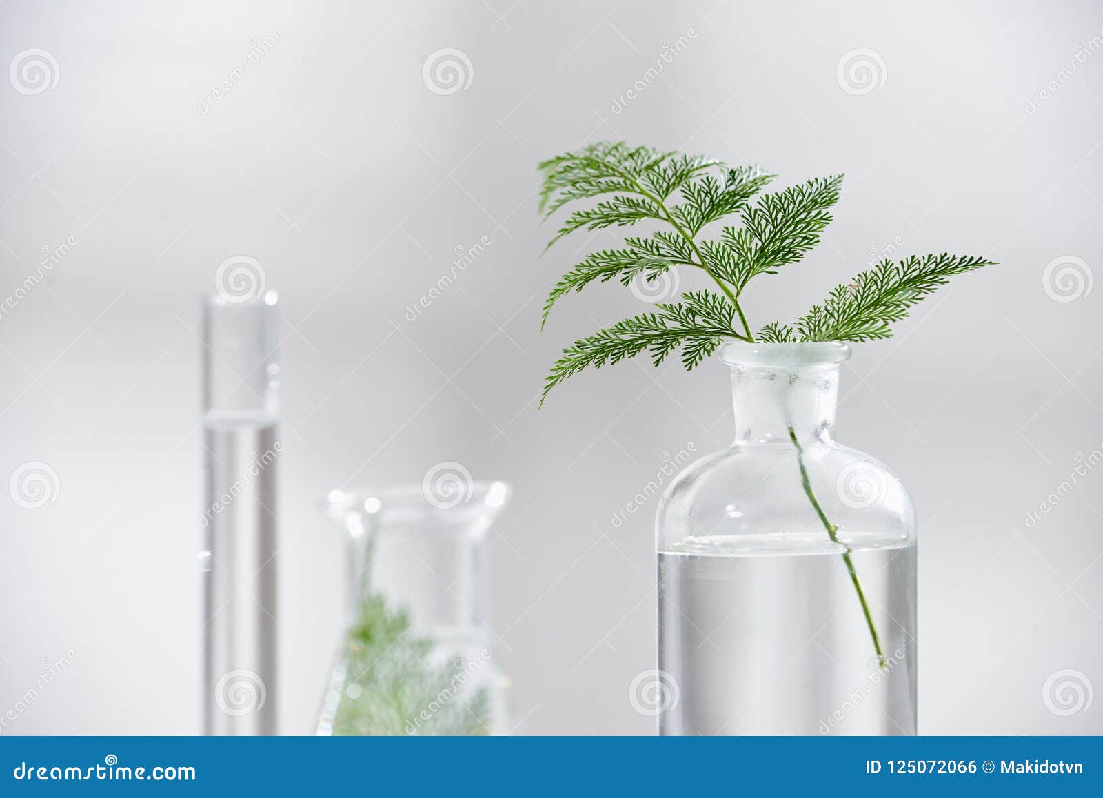 Cosmetic Nature Skincare And Essential Oil Aromatherapy Organic Stock