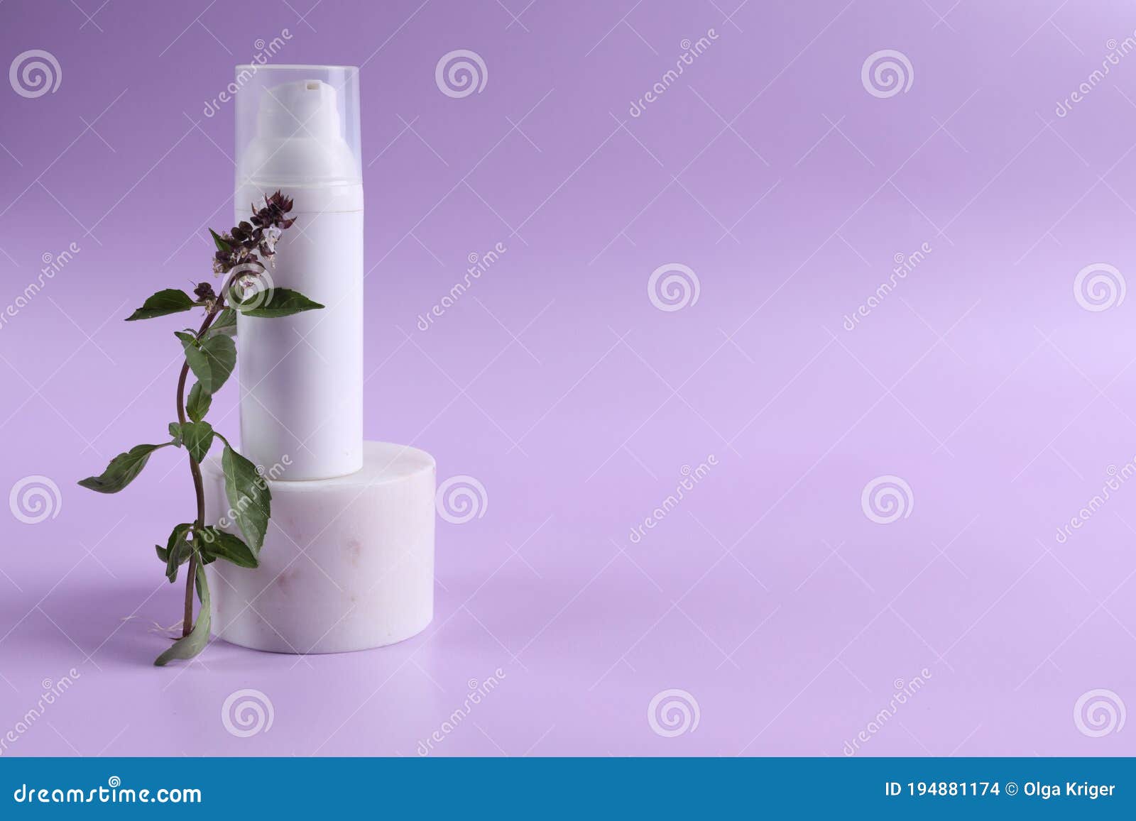 Cosmetics still life stock photo. Image of cosmetics - 194881174