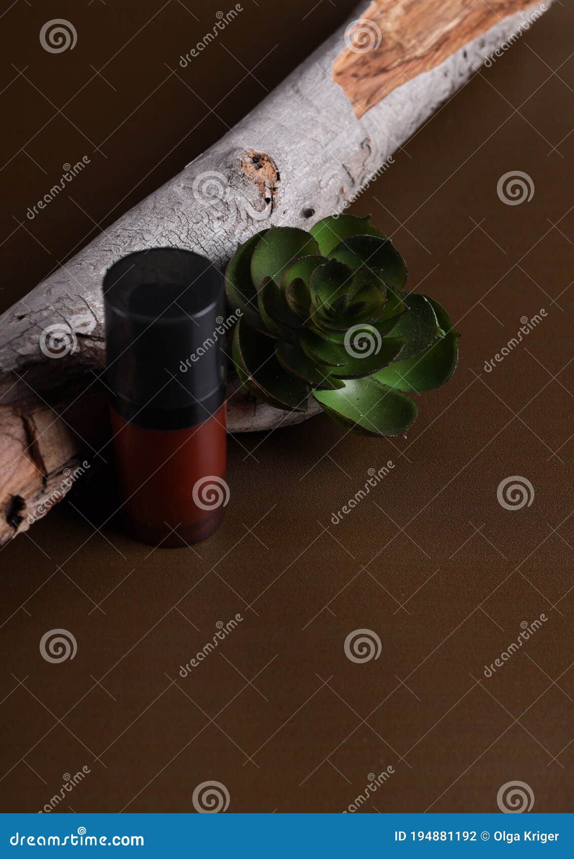 Cosmetics still life stock photo. Image of cream, life - 194881192