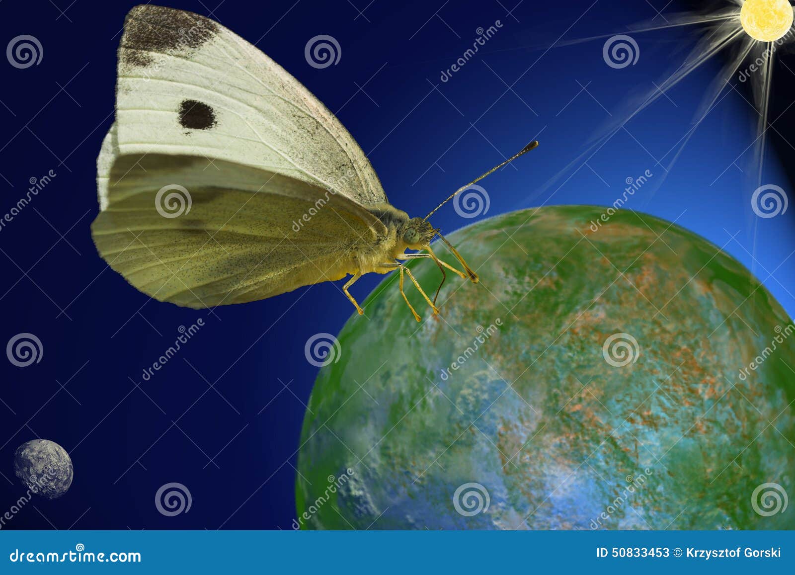 Cosmical butterfly stock image. Image of blue, green - 50833453