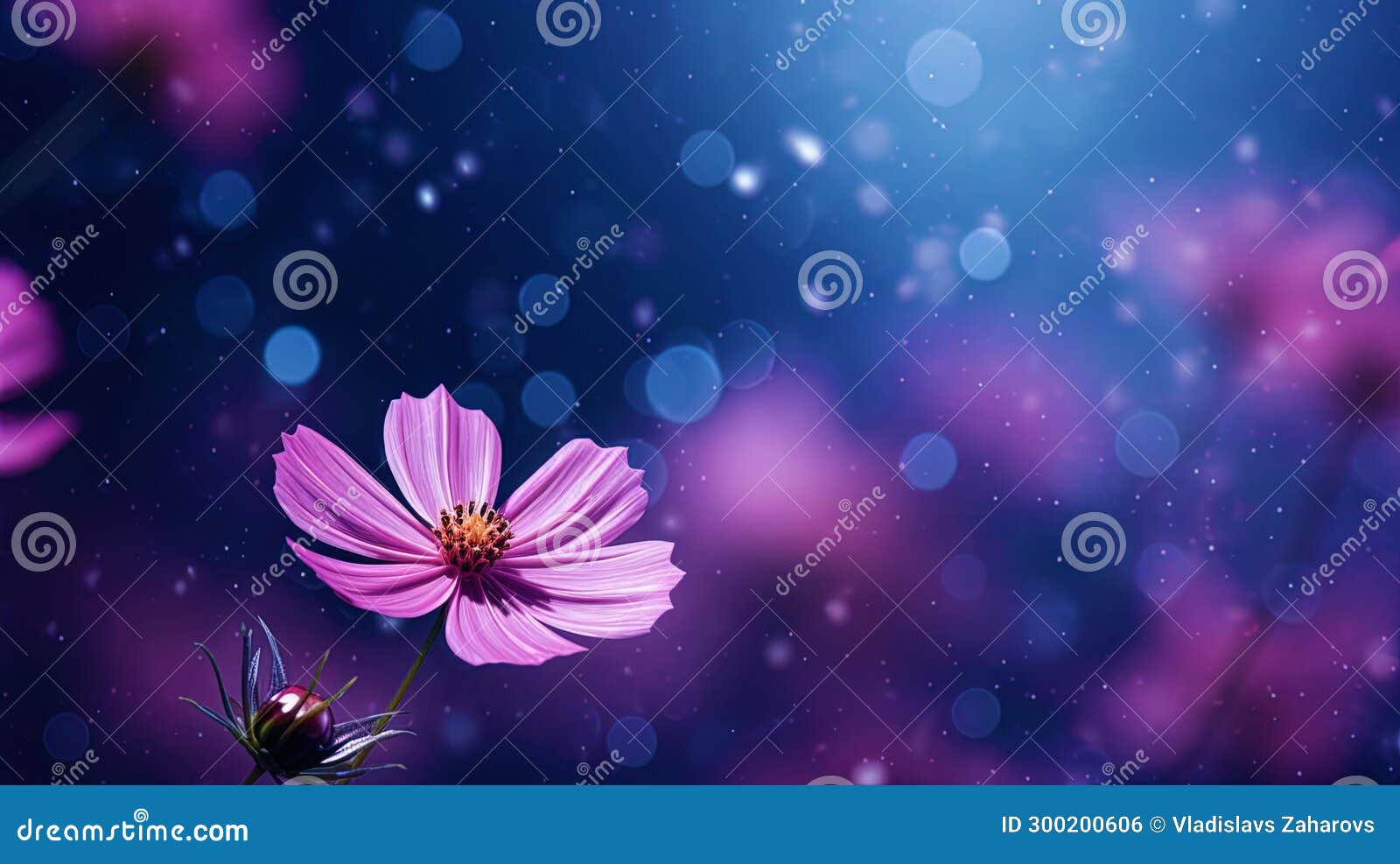 Cosmos Texture with an Incredible Star Background and Planetary Fogs ...