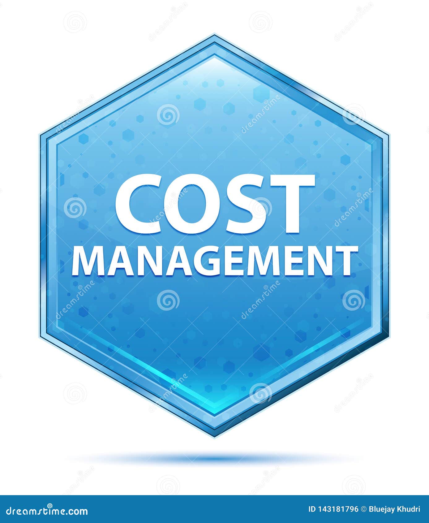 Cost Management Crystal Blue Hexagon Button Stock Illustration ...