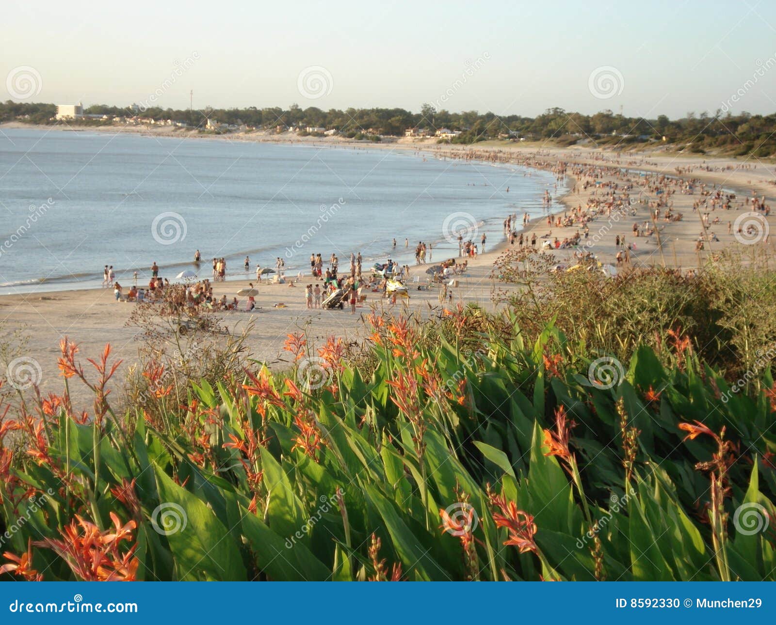 Costa Azul stock photo. Image of costa, summer, shore - 8592330