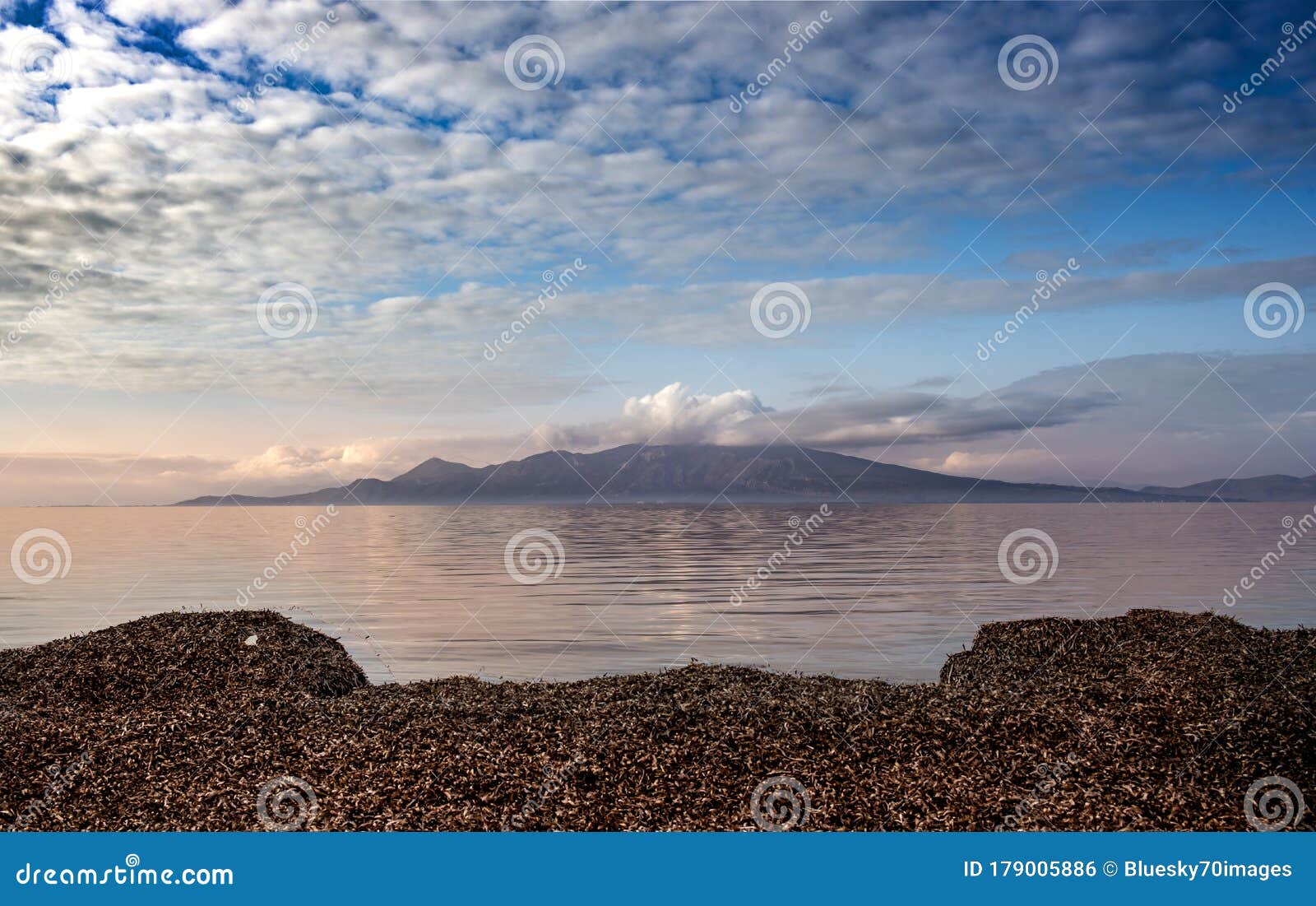 Costa Con Algas En La Playa De Arkitsa Greece Foto de archivo - Imagen ...