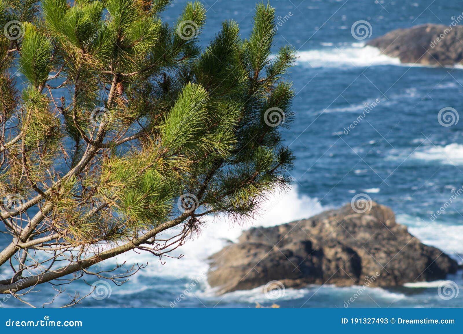 Costa Con Onde Al Tramonto Con Rocce E Vento Immagine Stock - Immagine ...