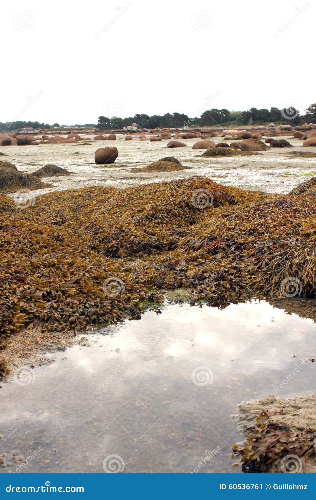 Costa Cor-de-rosa Do Granito Imagem de Stock - Imagem de oceano, rochas ...