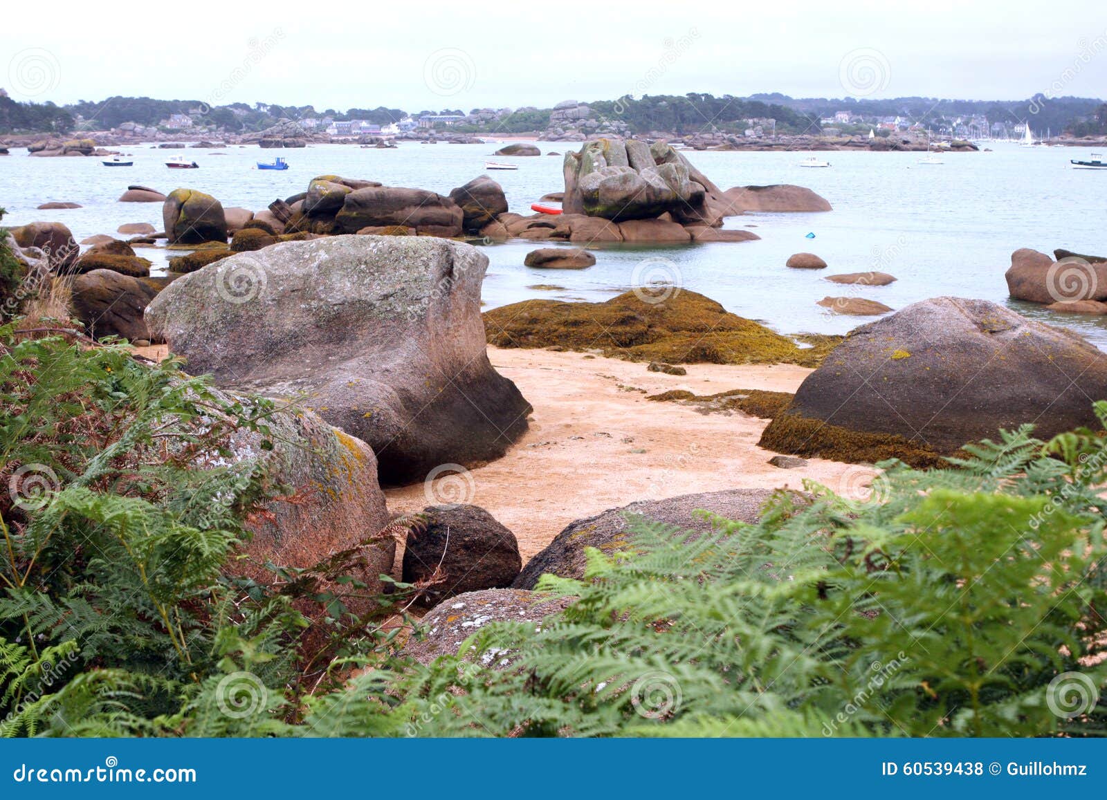 Costa Cor-de-rosa Do Granito Foto de Stock - Imagem de praia, maré ...