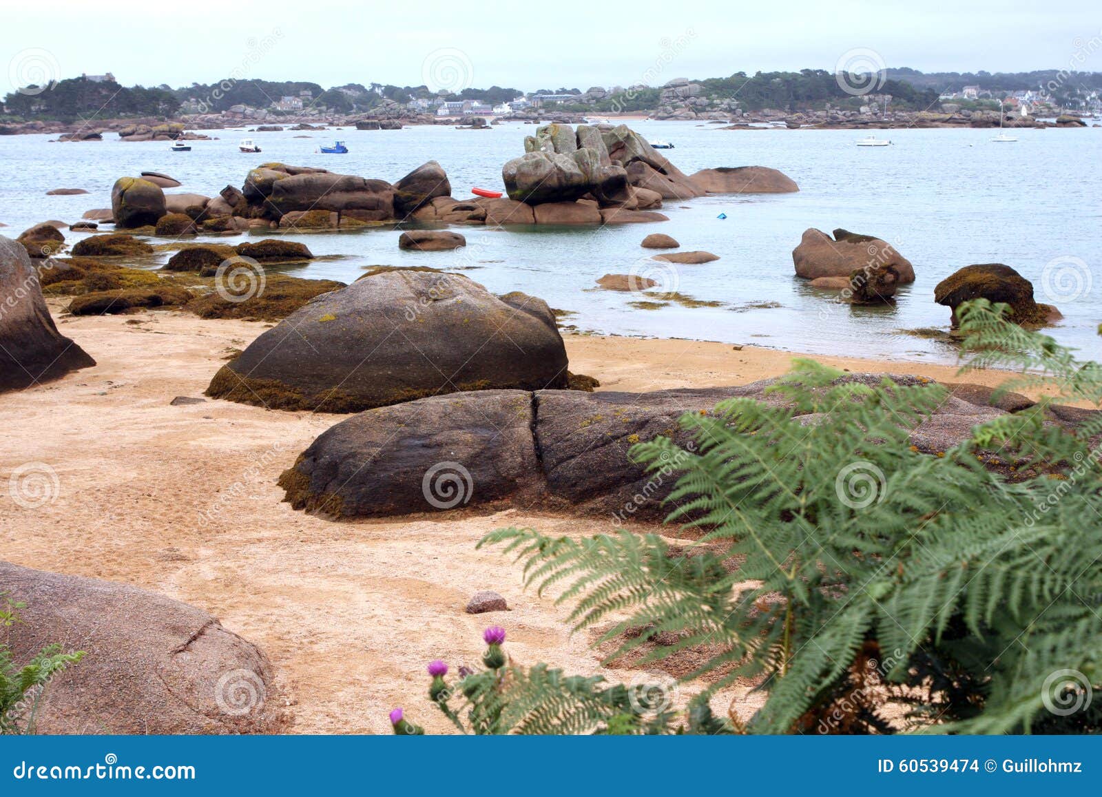 Costa Cor-de-rosa Do Granito Foto de Stock - Imagem de britânica, praia ...