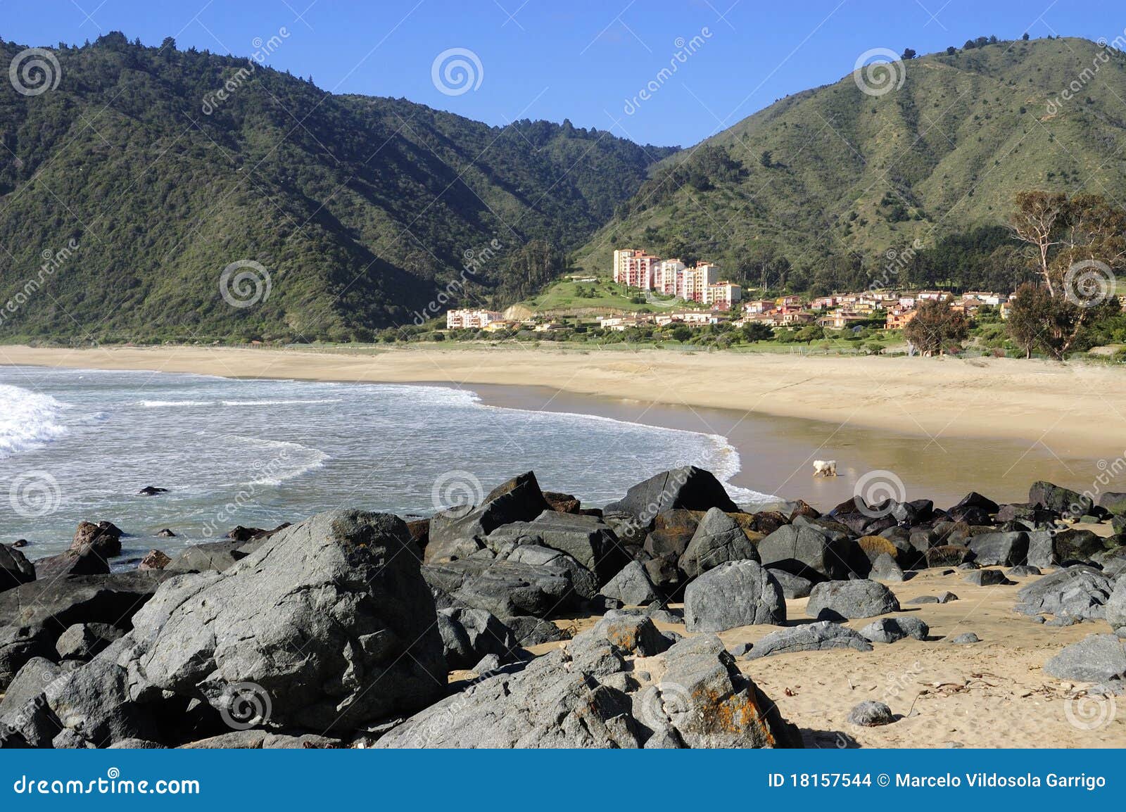 Costa de Chile stock photo. Image of animals, condo, sand - 18157544