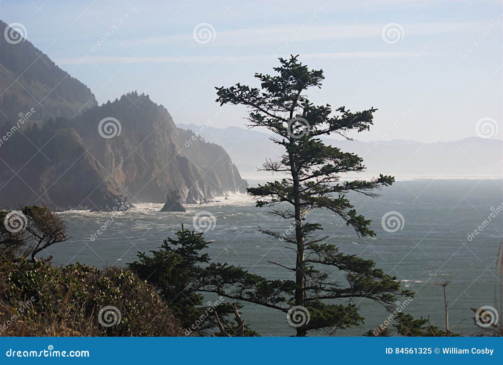 Costa De Oregon No Parque Estadual II De Ecola Imagem de Stock - Imagem ...