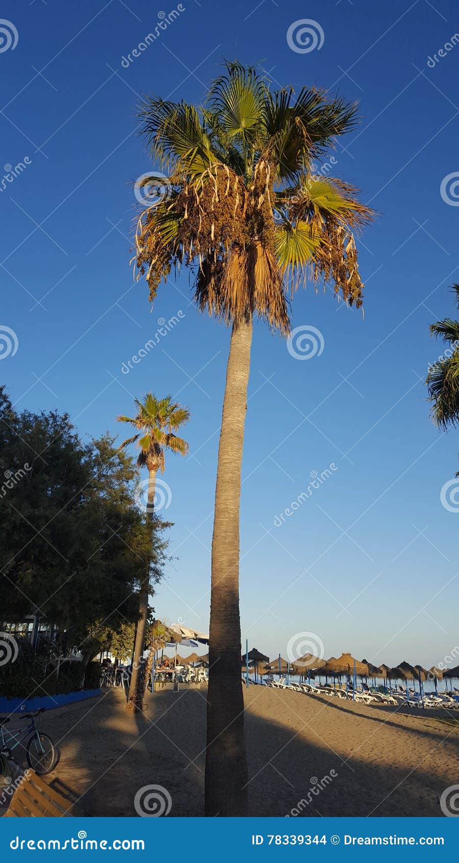 Costa del Sol beach scene editorial stock image. Image of beach - 78339344