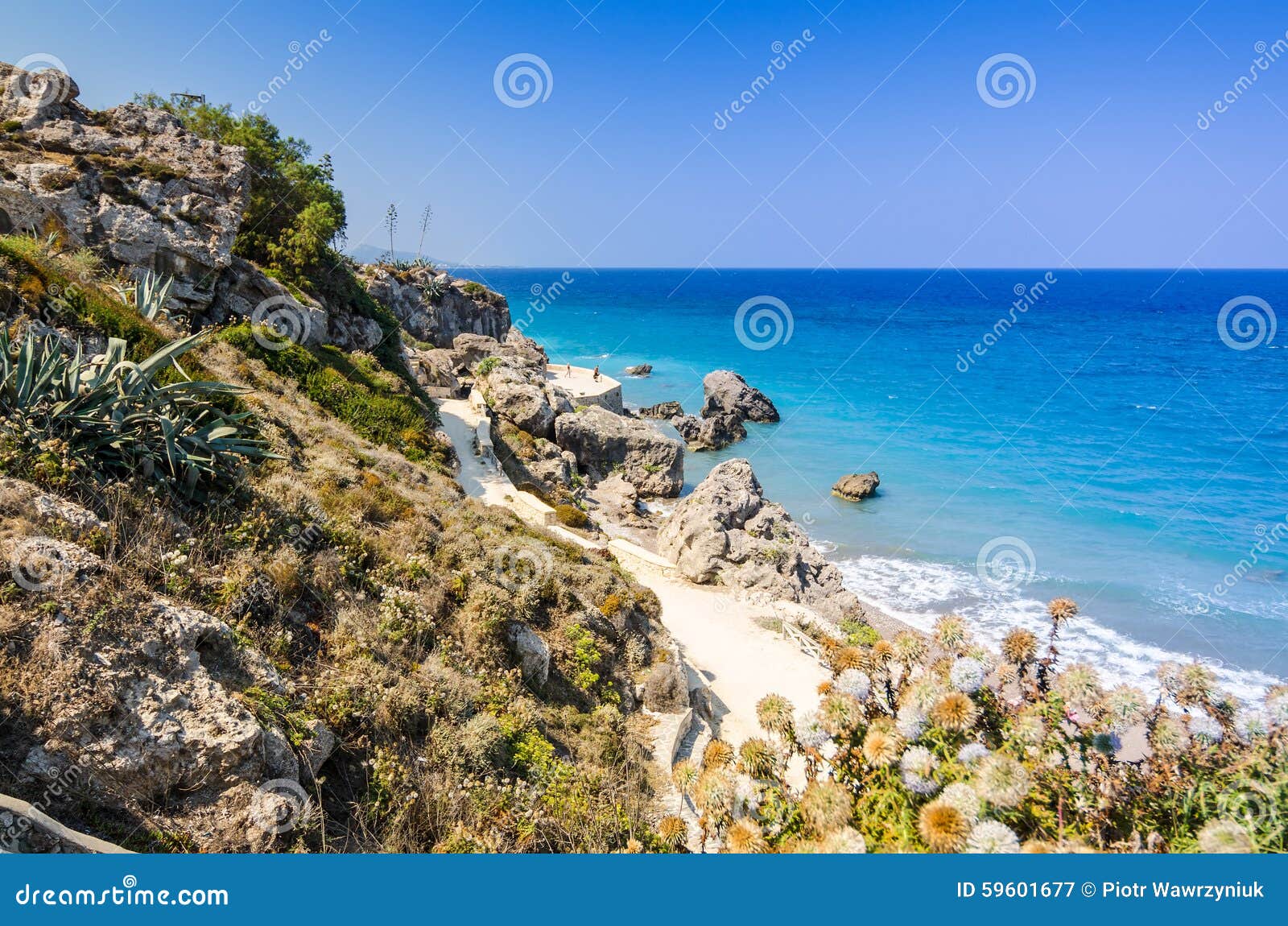 Costa di mare di Rodi immagine stock. Immagine di pianta - 59601677