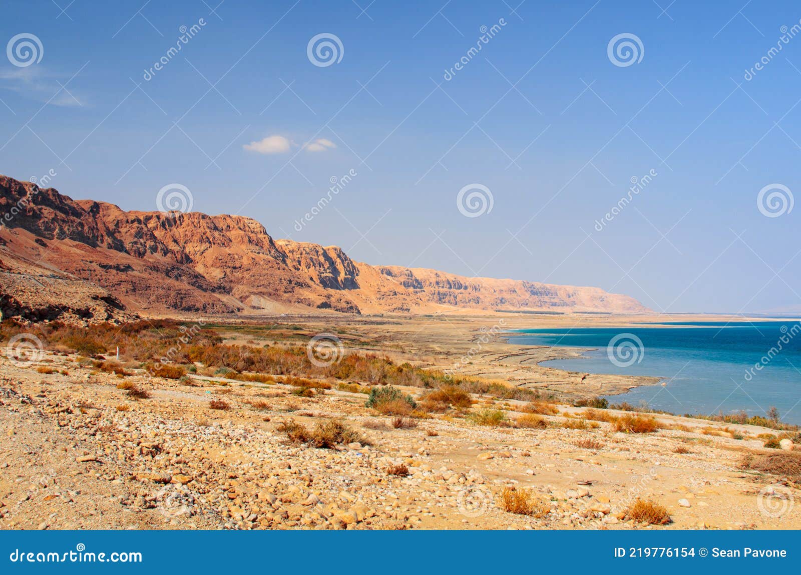 Costa Do Mar Morto Em Israel Foto de Stock - Imagem de naturalizado ...