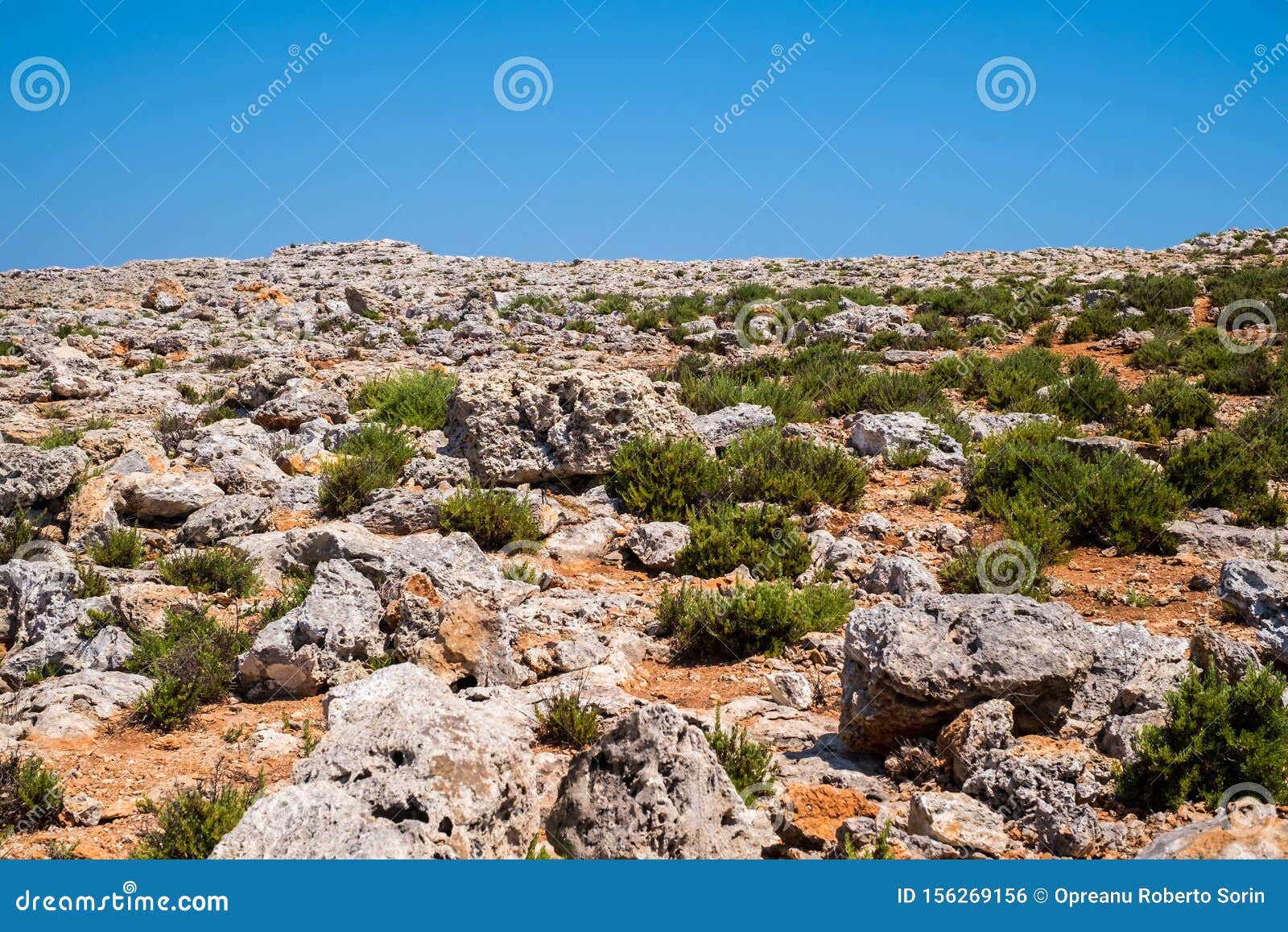 Costa Dura De La Isla De Comino, Malta Foto de archivo - Imagen de ...