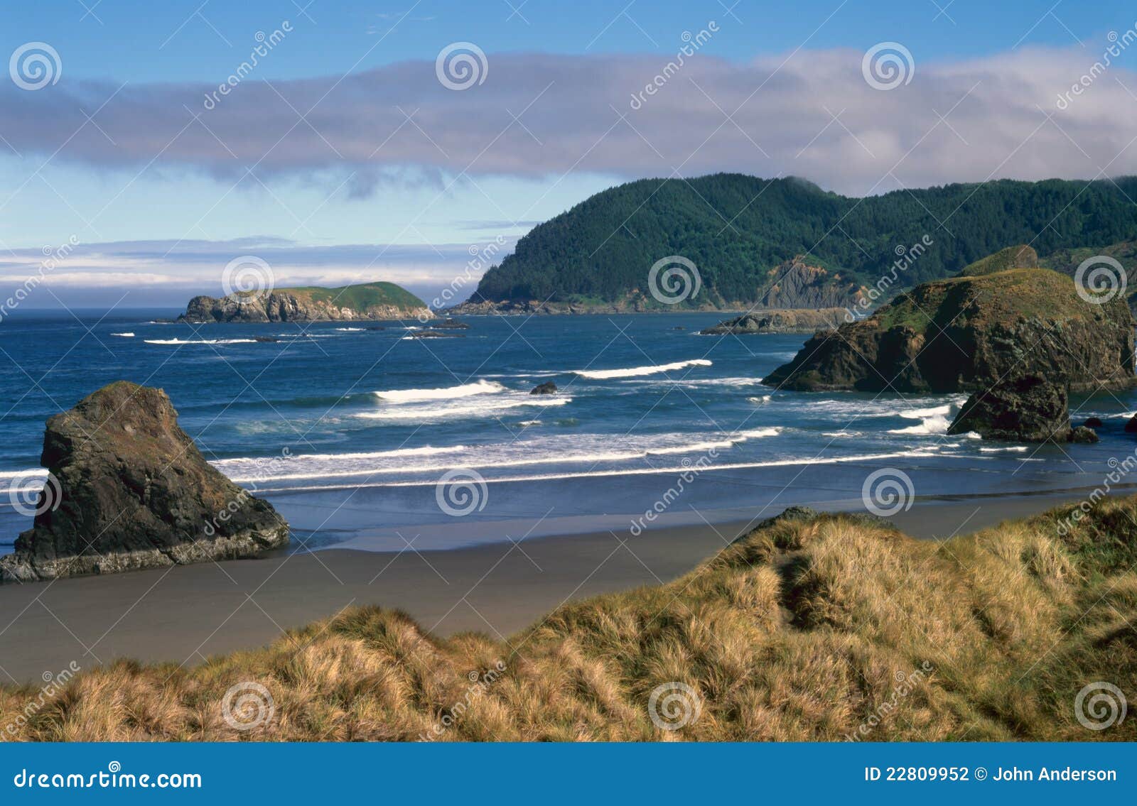 Costa E Linha Costeira De Oregon Foto de Stock - Imagem de rochas ...