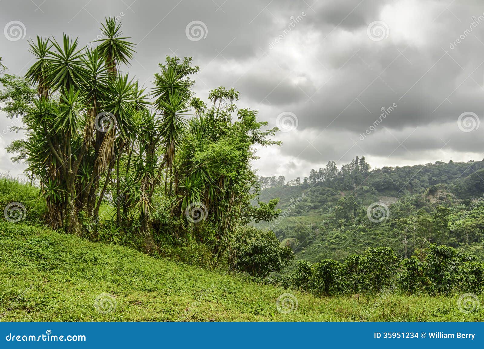 Costa Rica Landscape foto de archivo. Imagen de ambiente - 35951234