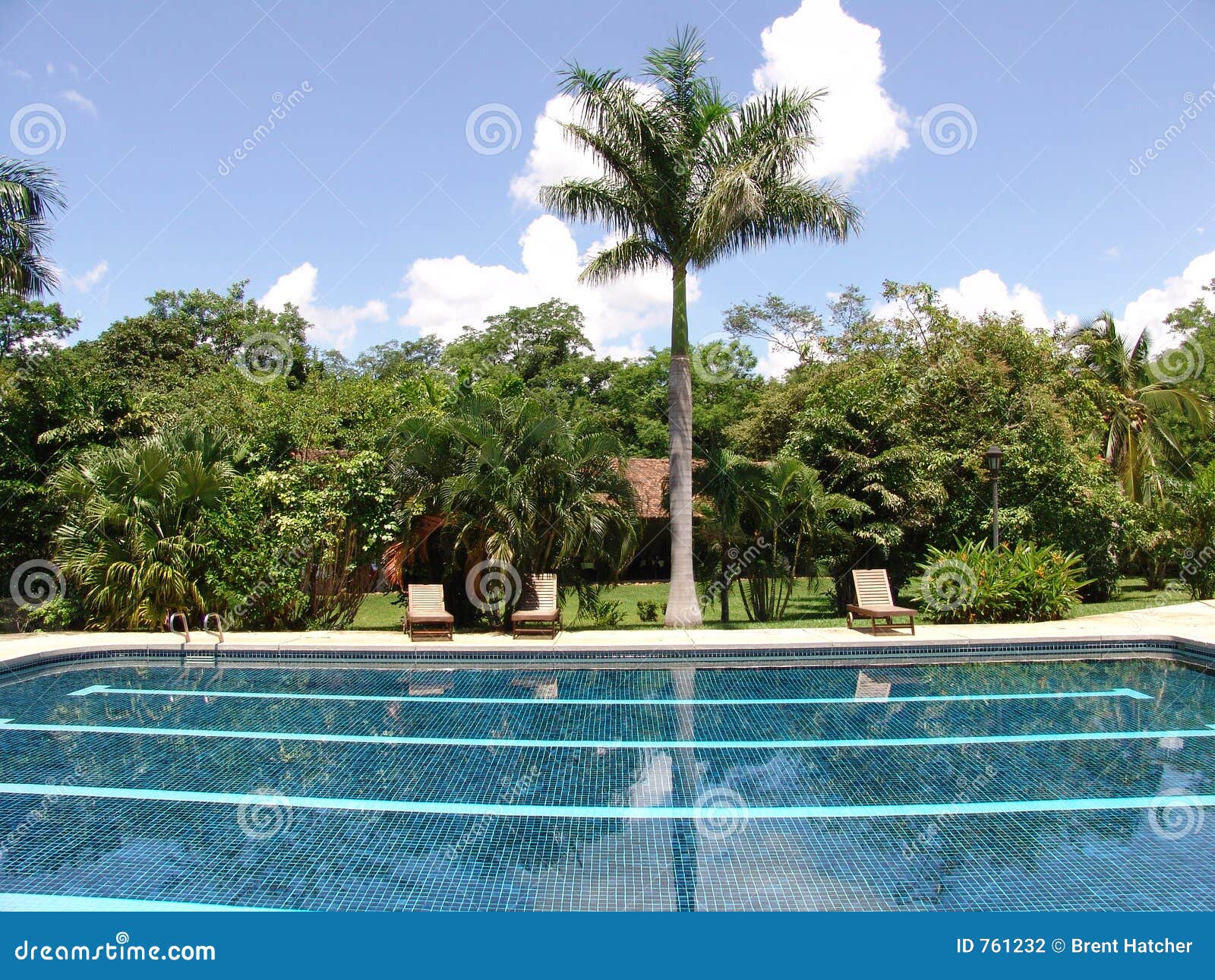 Costa Rica Pool stock photo. Image of pool, resort, outdoor - 761232