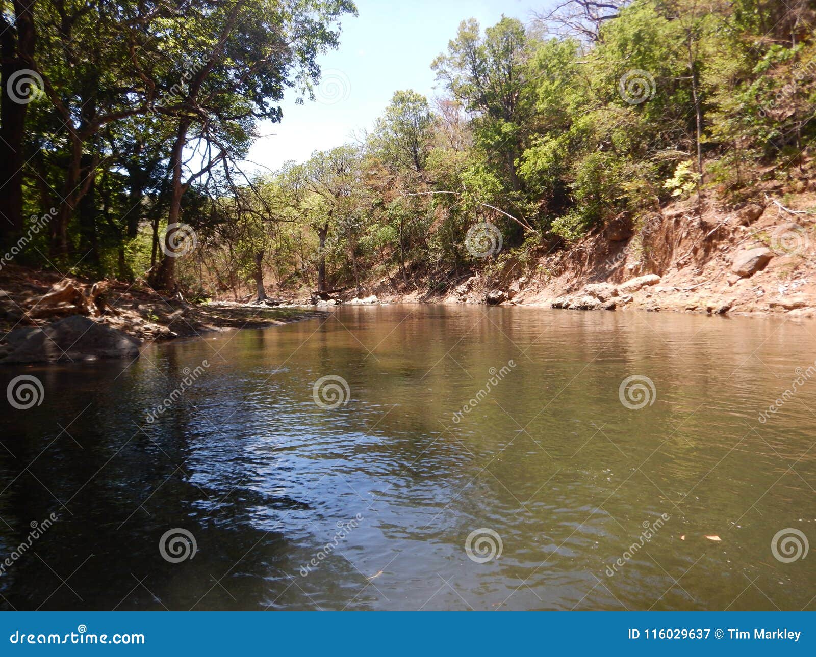 Costa Rica River stock image. Image of scenic, environment - 116029637
