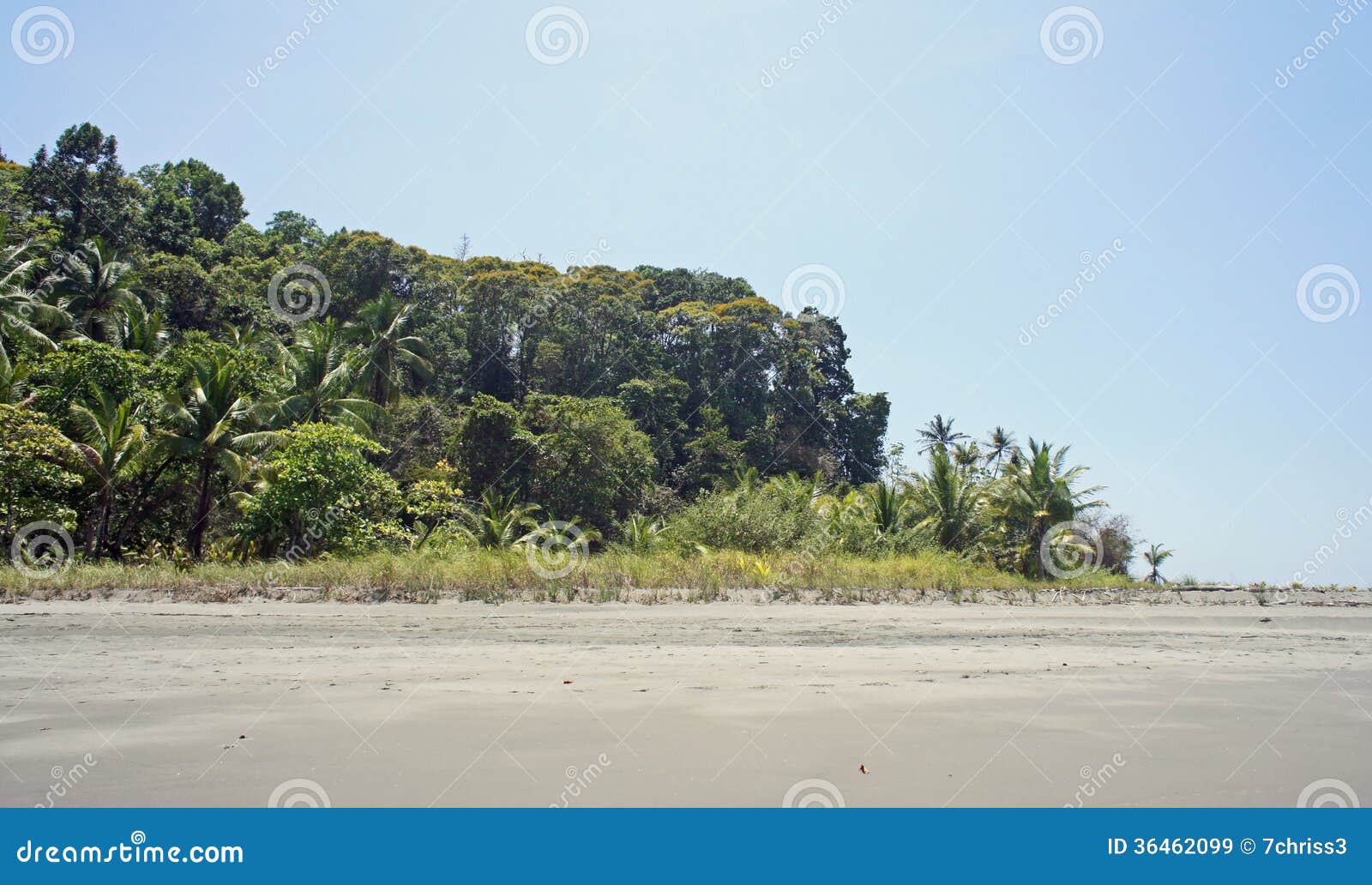 Costa rica summer stock image. Image of summer, coast - 36462099