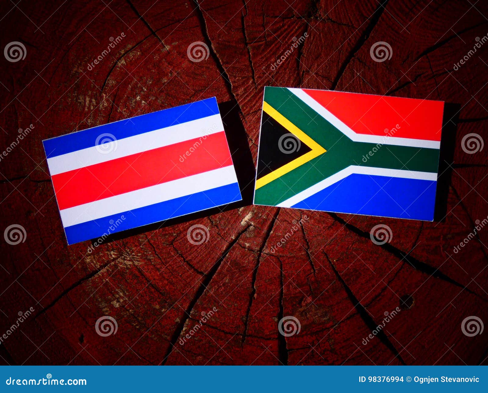 Costa Rican Flag with South African Flag on a Tree Stump Isolate Stock ...