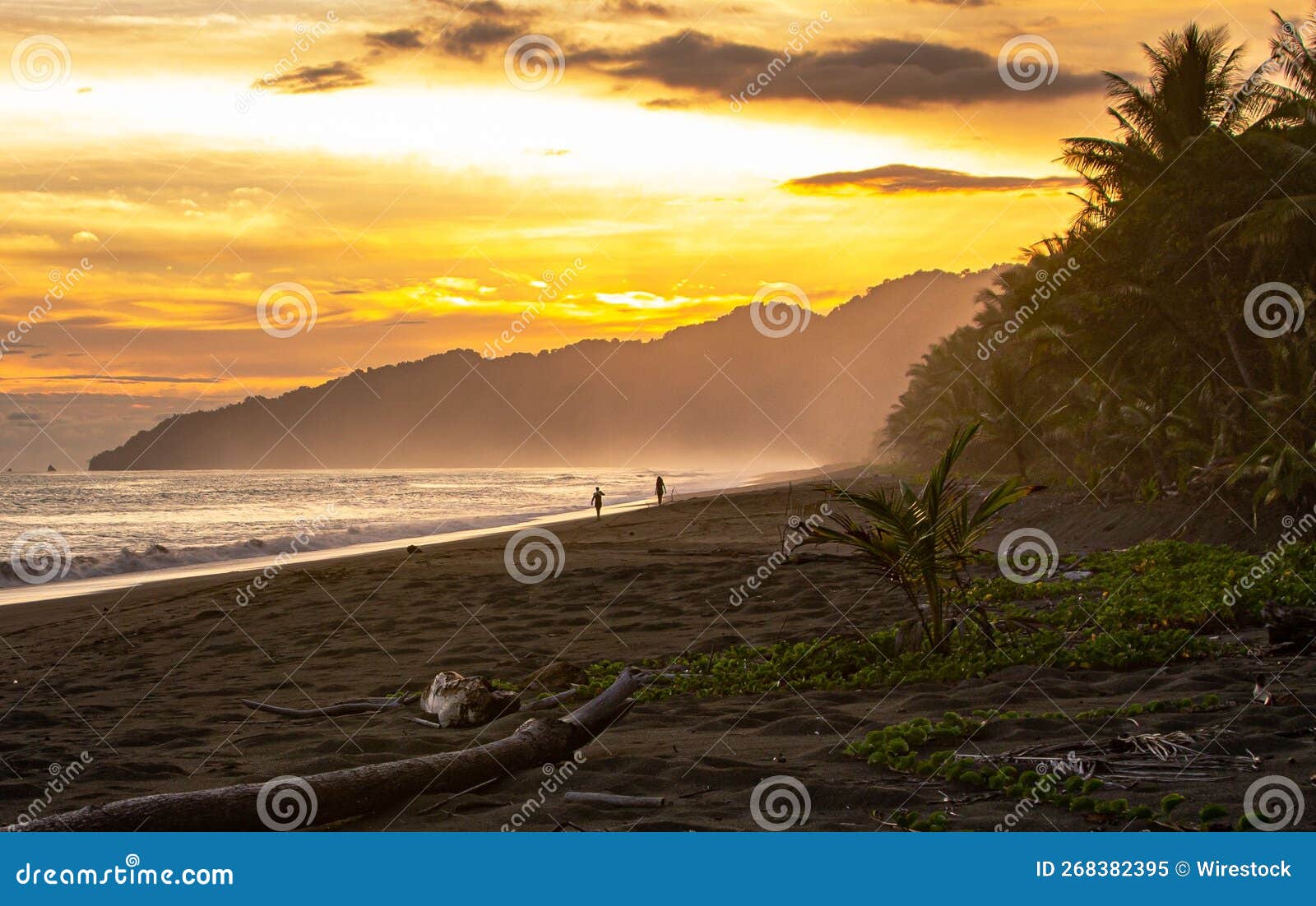 Costa Rican Rainforest Beach at Sunset Stock Image - Image of natural ...