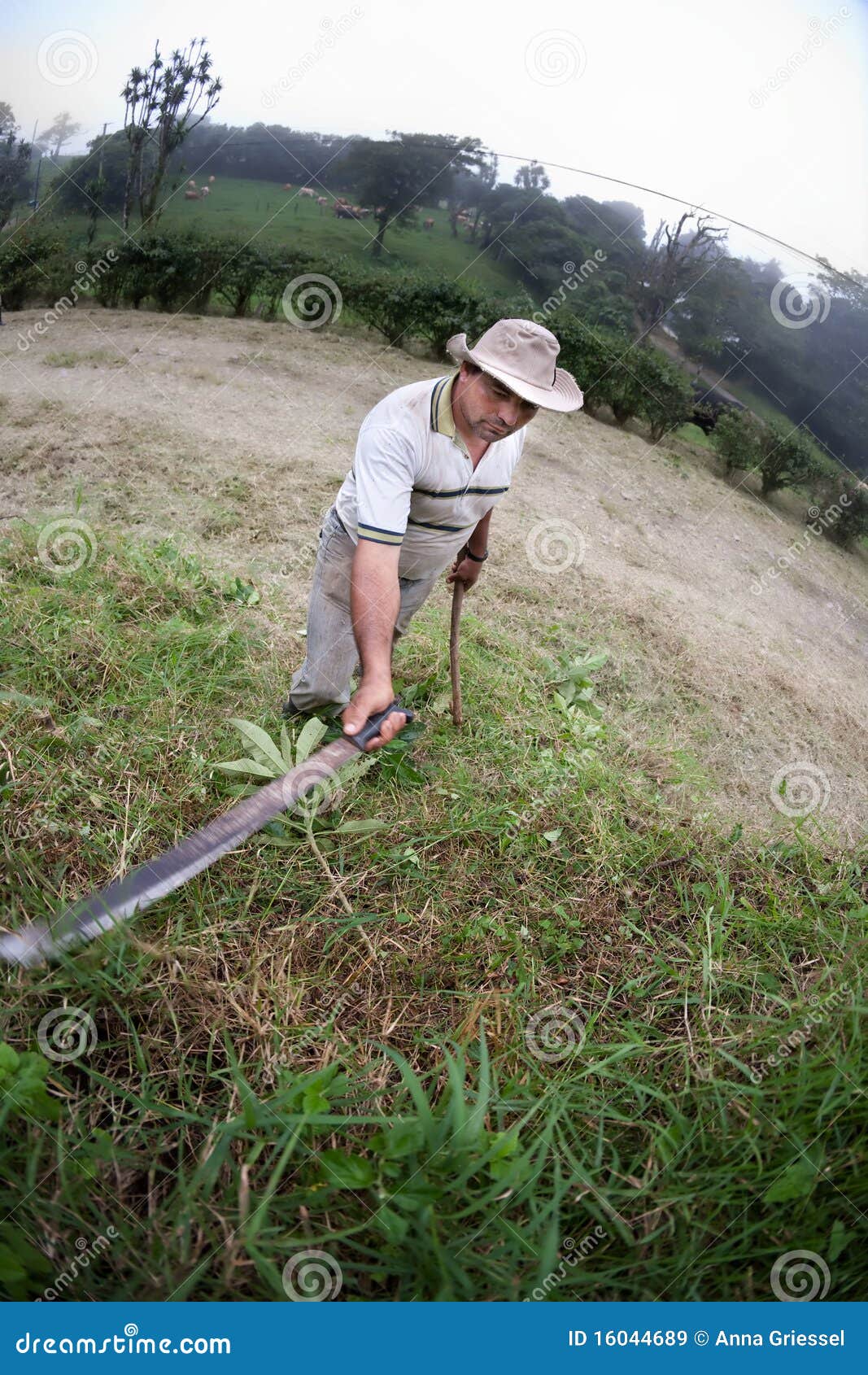 Costa Rican ranch hand stock image. Image of cloudy, grass - 16044689