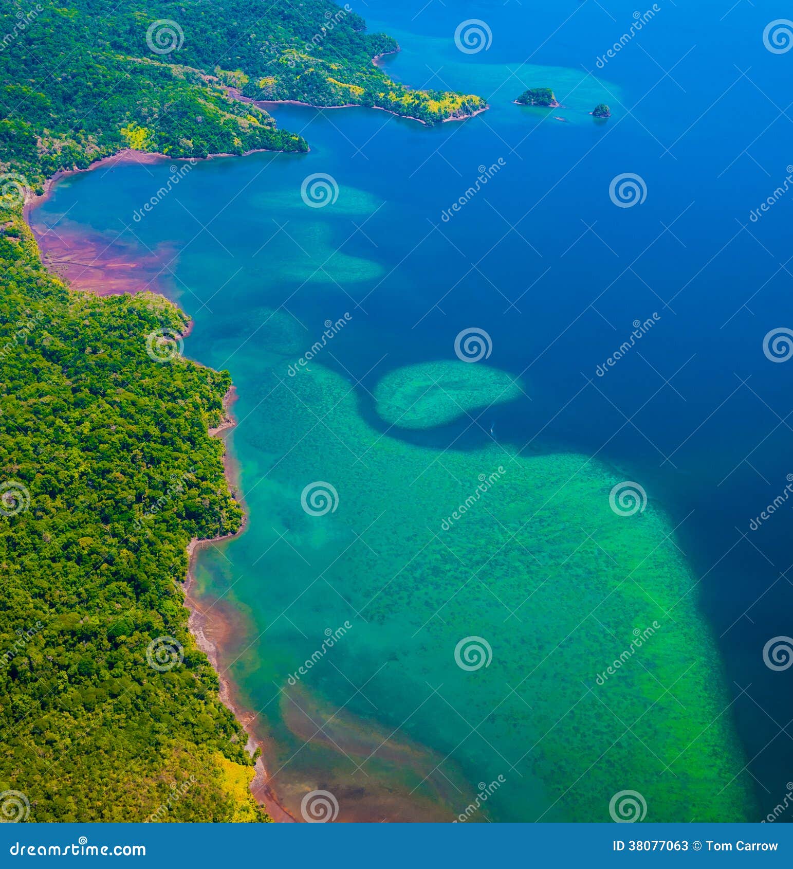 Costa rican reef stock image. Image of rica, snorkel - 38077063
