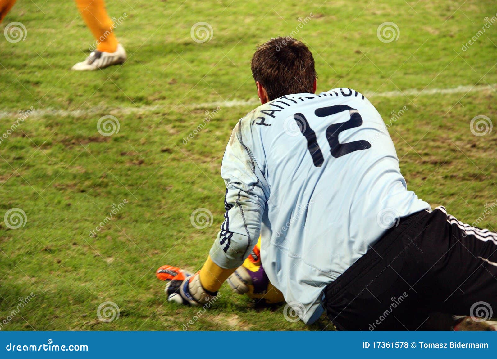 Costel Pantilimon editorial stock photo. Image of striker - 17361578