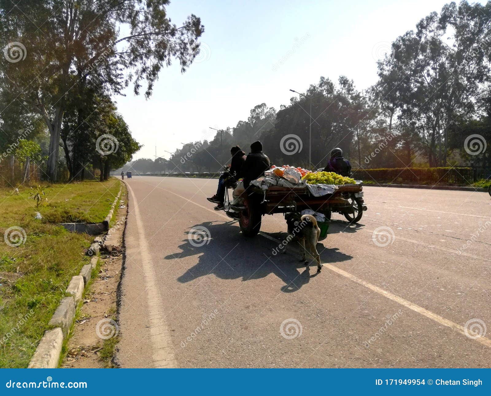 Costermonger Passing through Road Stock Photo - Image of people, fruit ...