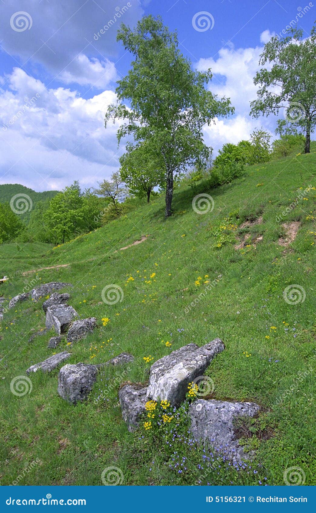 Costesti Dacian Ruins stock image. Image of grass, rock - 5156321