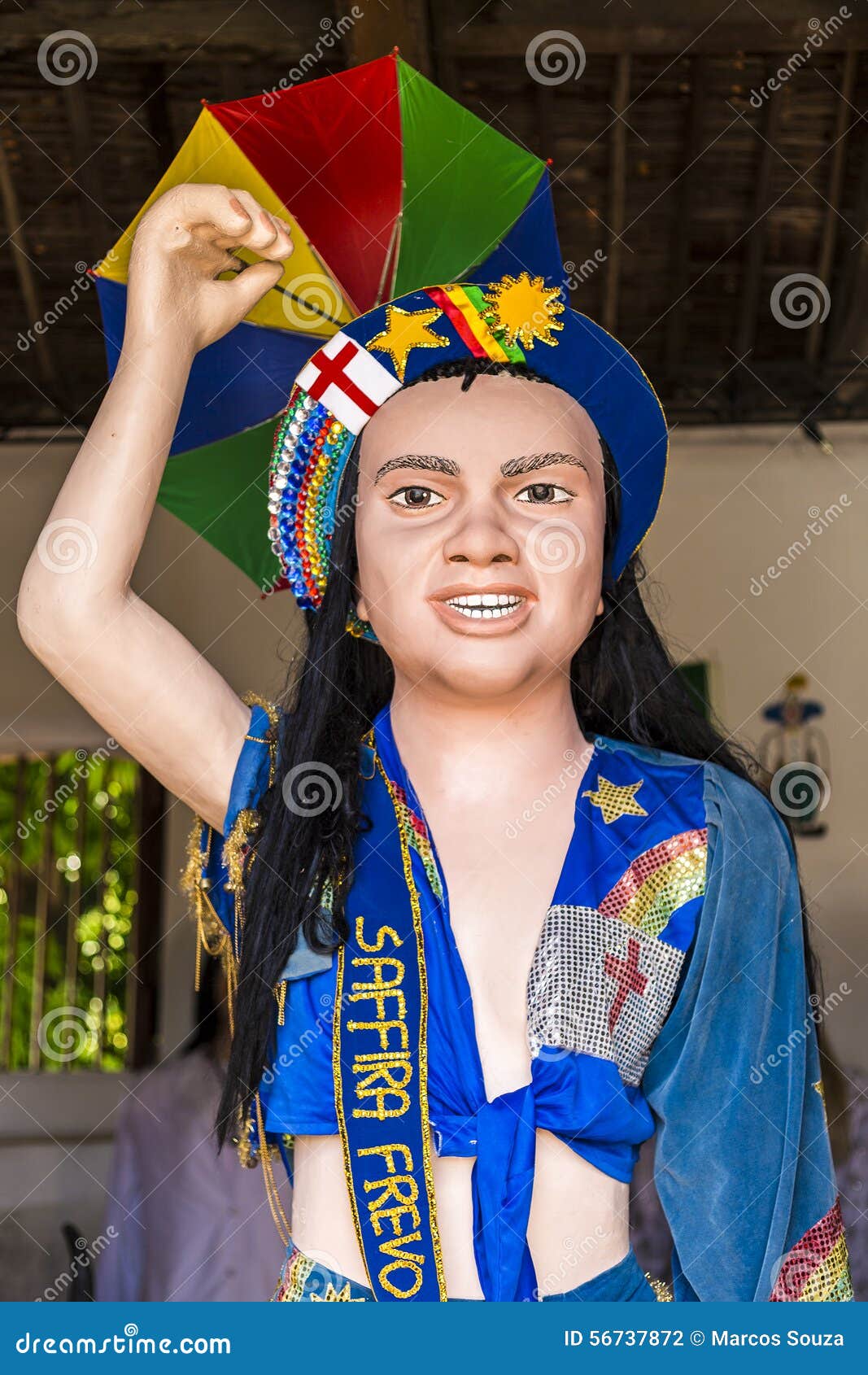 Costume Brasiliano Di Carnevale Fotografia Stock - Immagine di samba ...