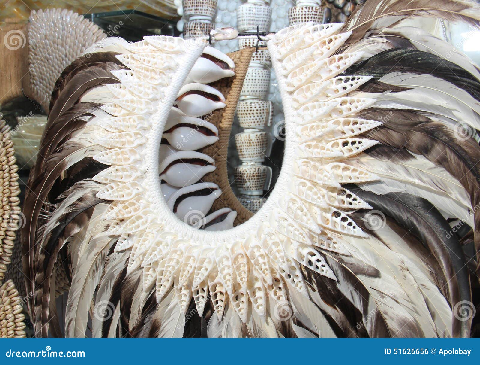 Costume Made of Shells and Feathers Stock Photo - Image of details ...