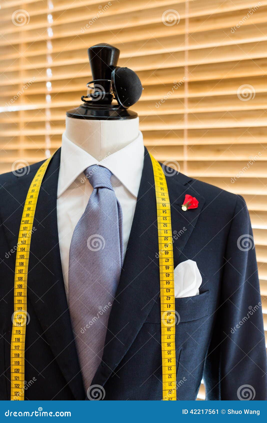 Costume sur le mannequin image stock. Image du fictif - 42217561
