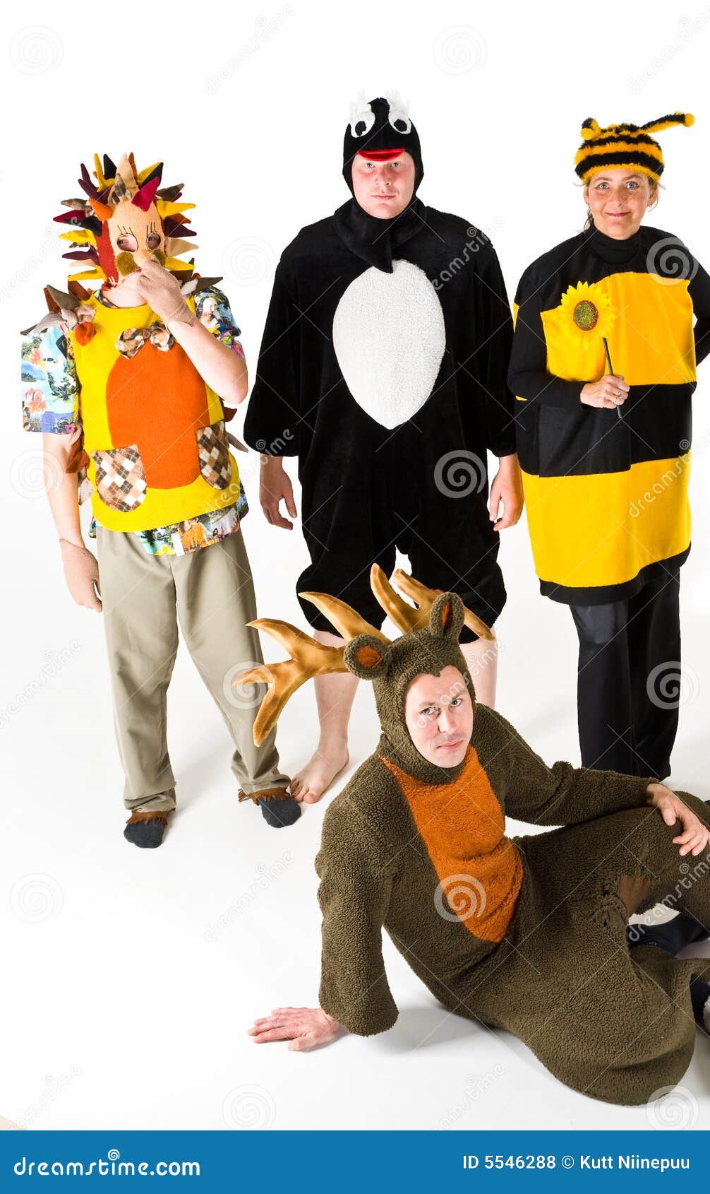 Costumed Characters stock photo. Image of poster, hedgehog - 5546288