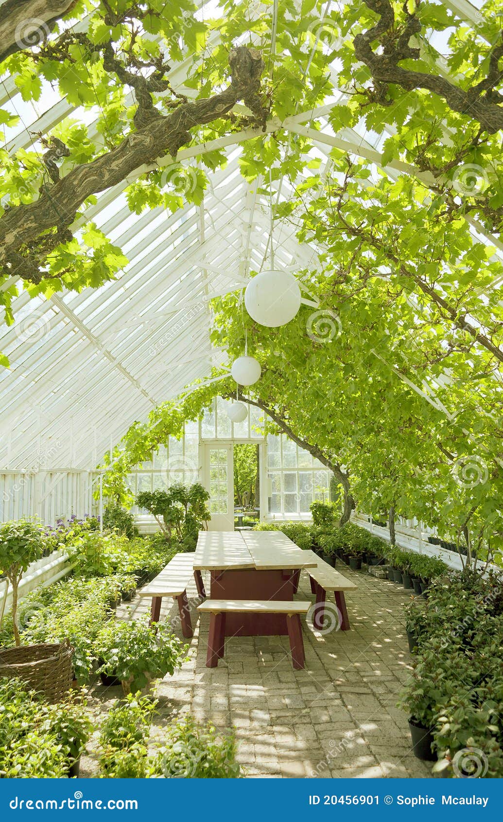 Cosy Conservatory Greenhouse Stock Image - Image of horticulture ...