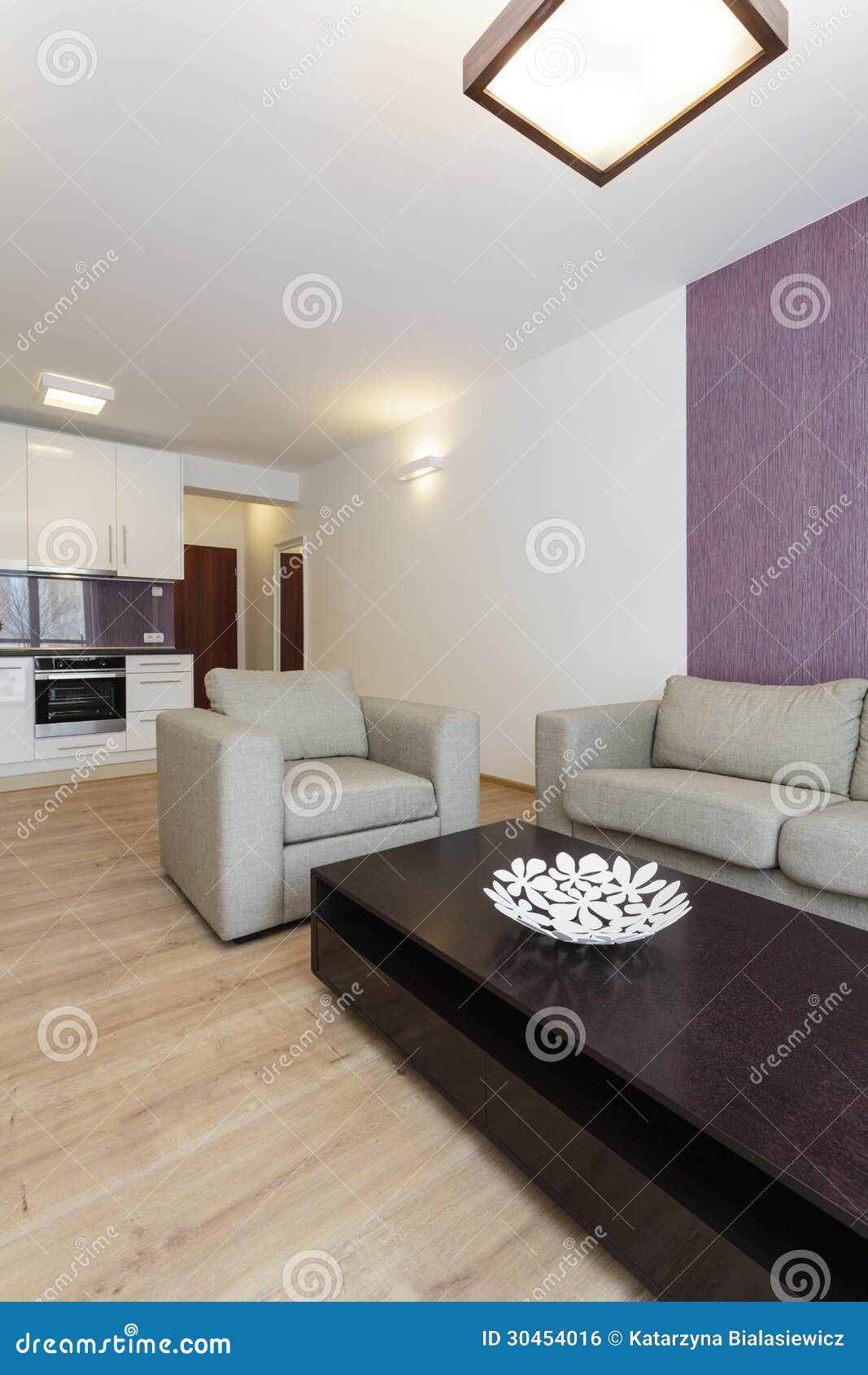 Cosy flat - living room stock photo. Image of minimalist - 30454016