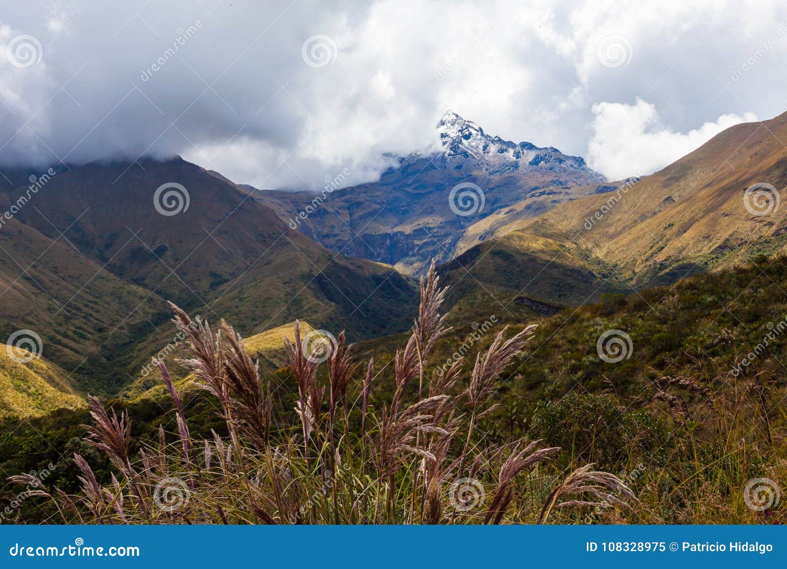 Cotacachi Volcano stock image. Image of reserve, mountain - 108328975