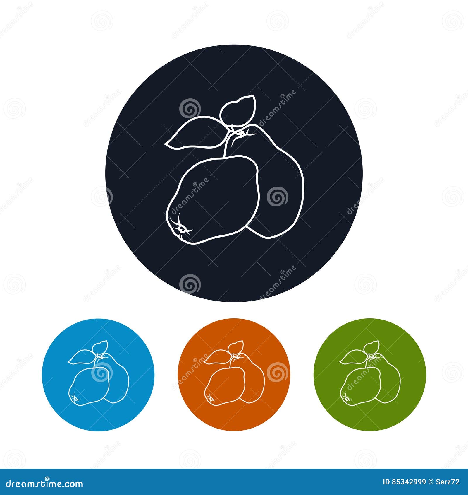 Cotogna Dell'icona Nei Contorni Illustrazione Vettoriale ...