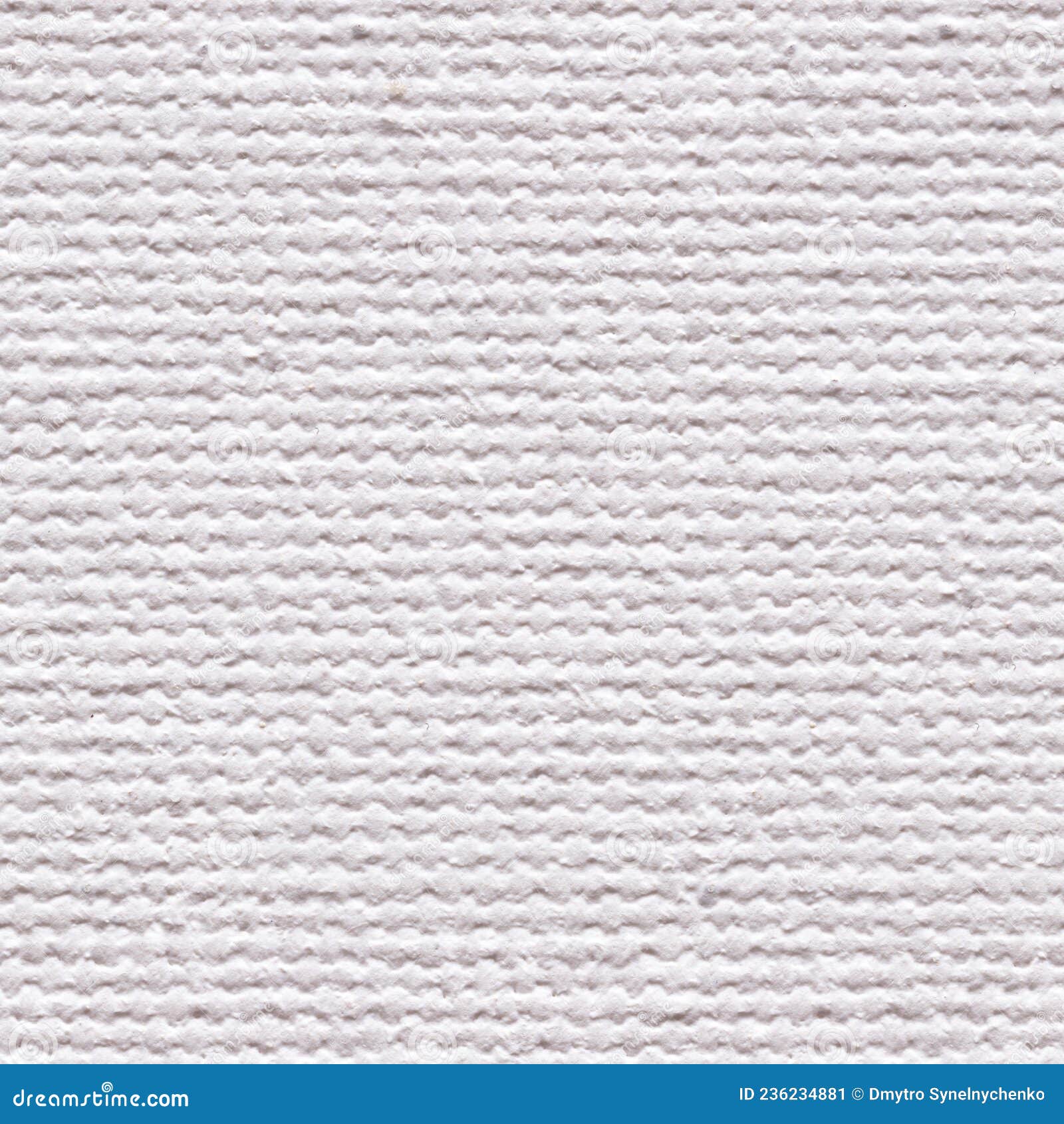 Coton Canvas Texture in Classic White Color for Your Creative New Work ...