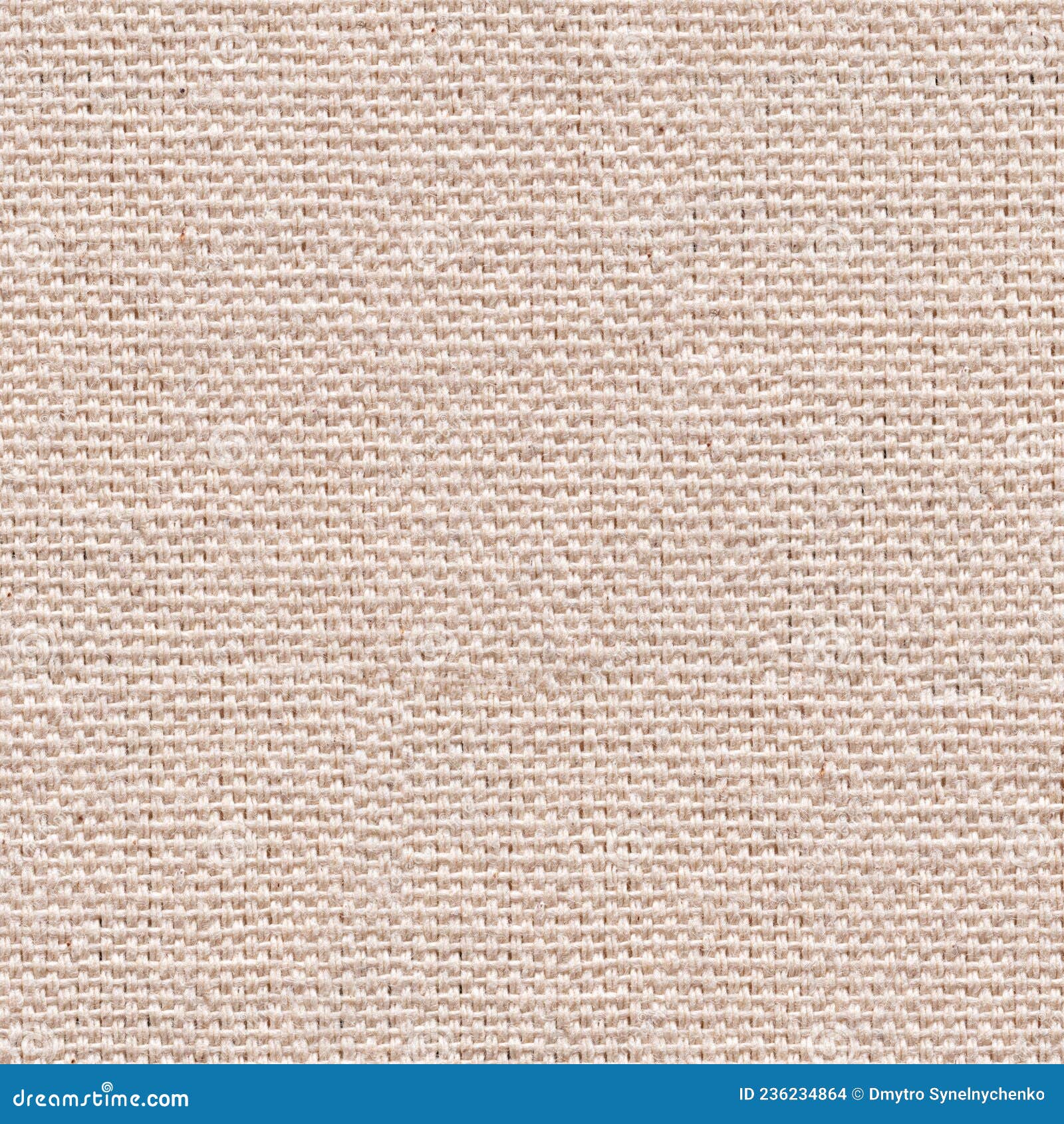 Coton Canvas Texture in Light Beige Color for New Stylish Design Look ...